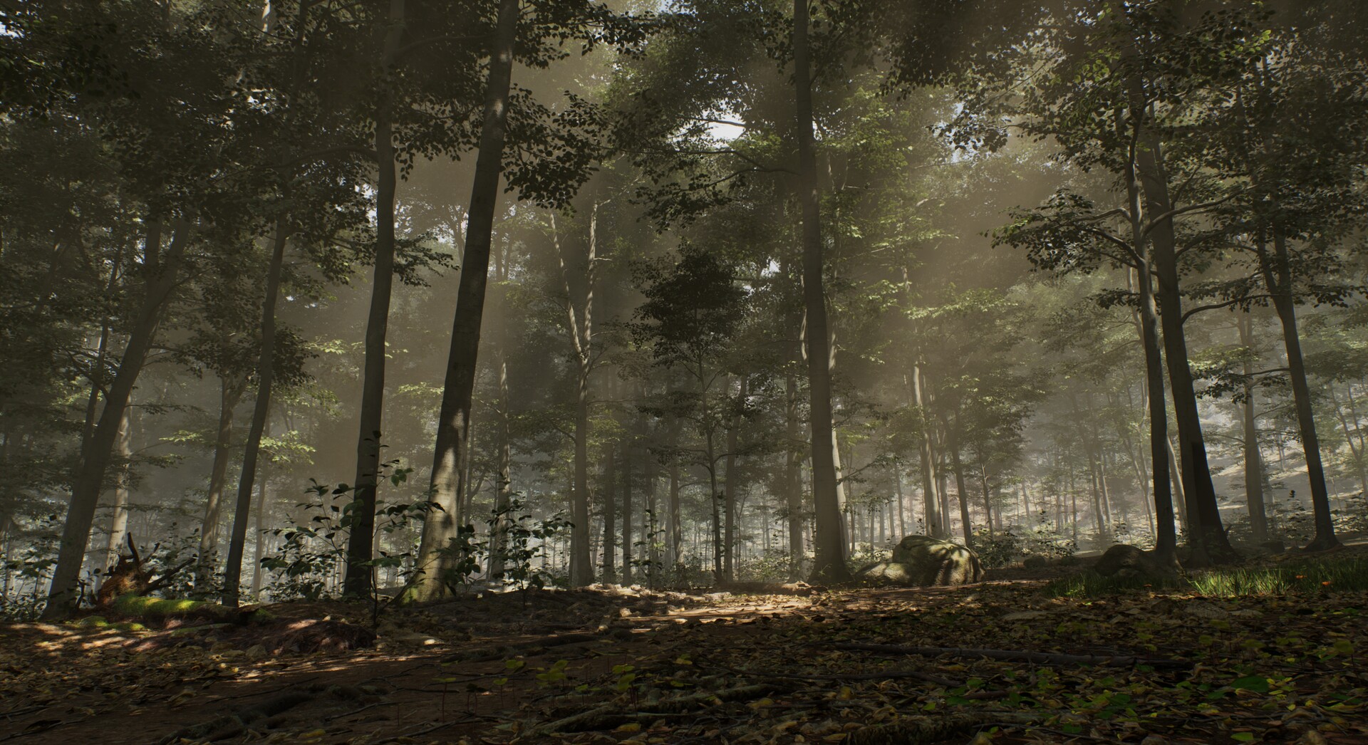 ArtStation - Forest PCG Environment in Unreal 5