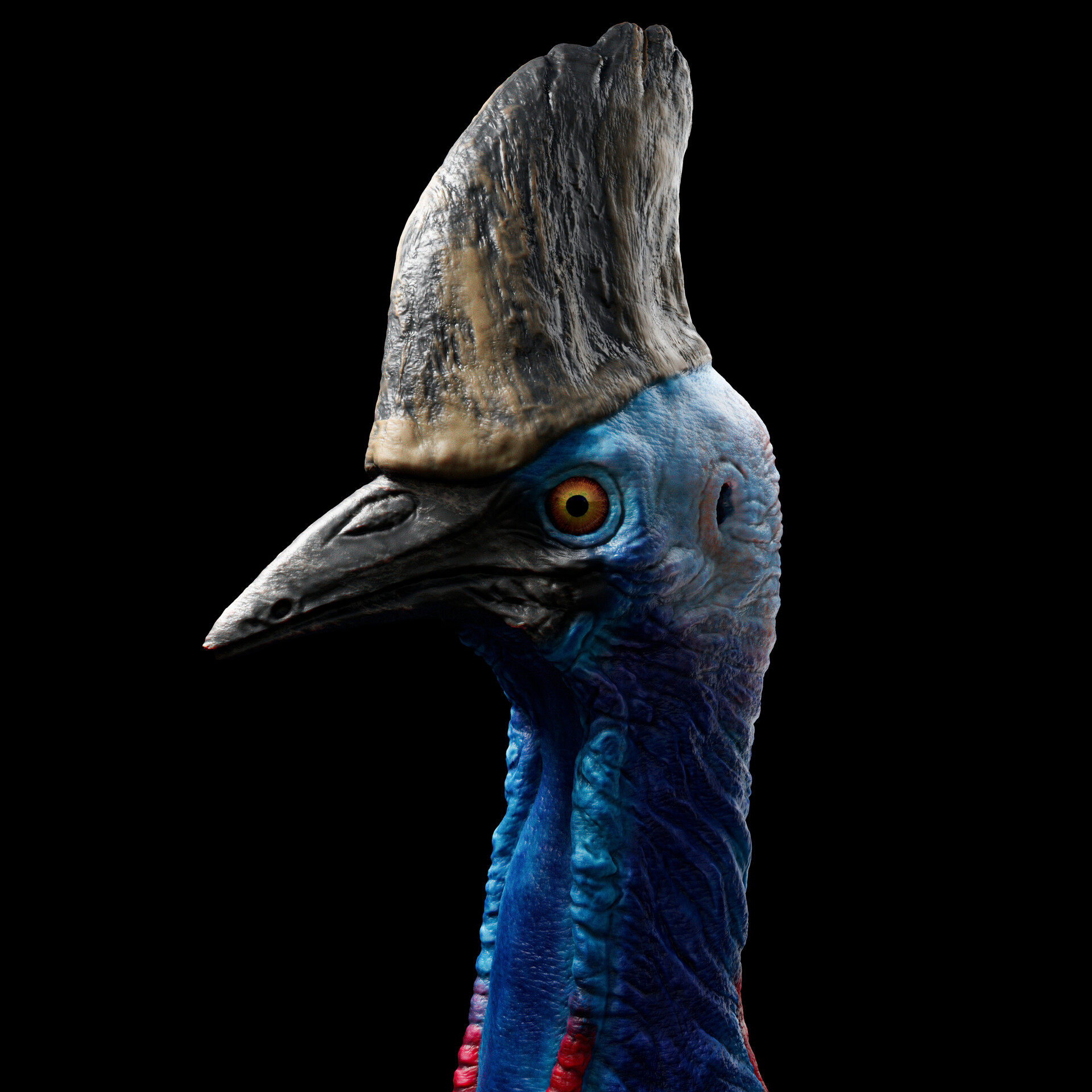 ArtStation - Cassowary