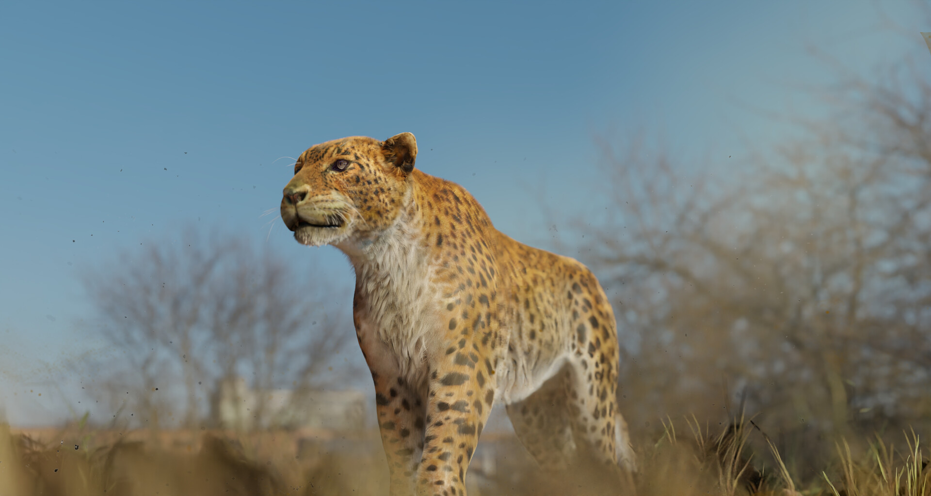 ArtStation - leopard portrait