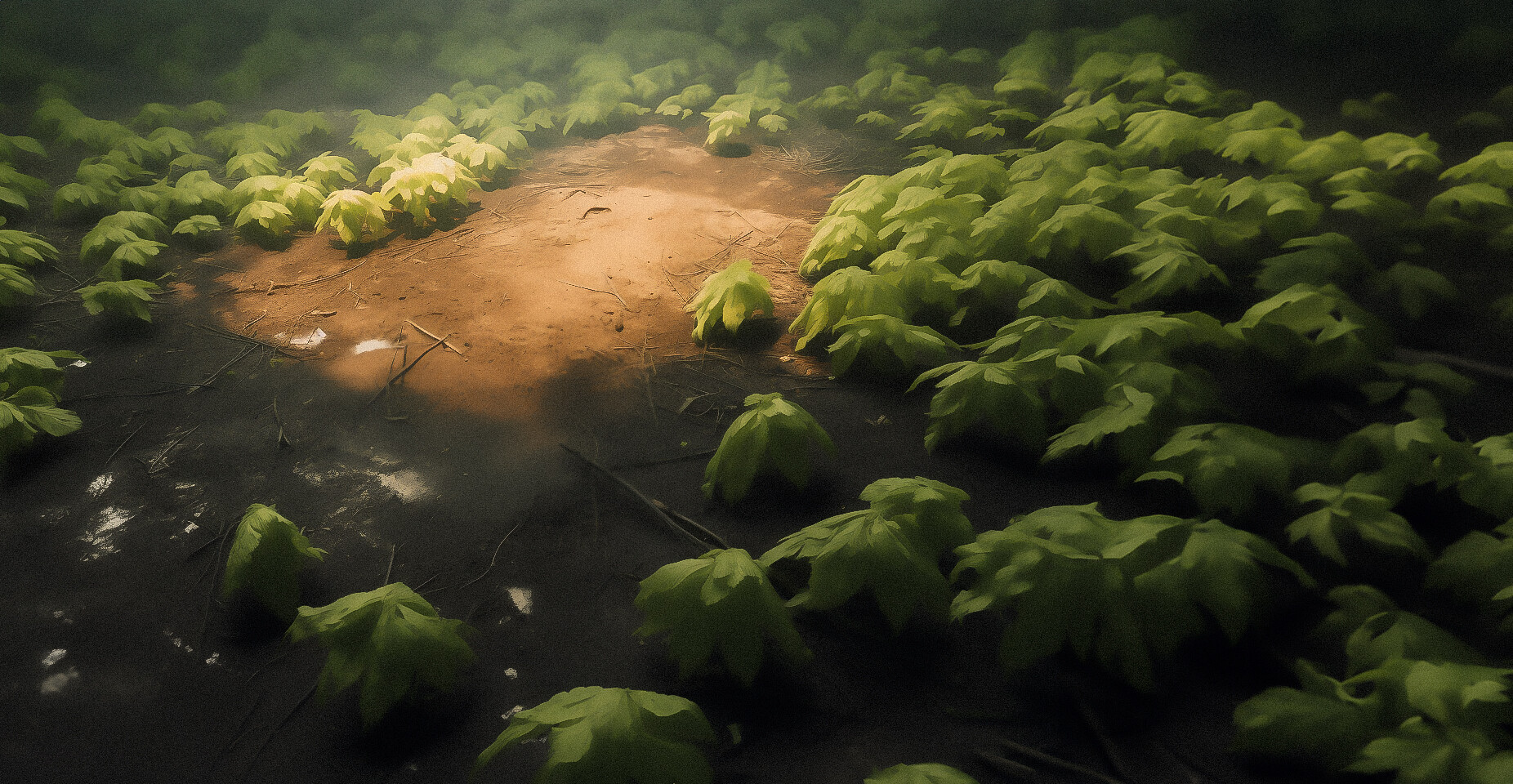 ArtStation - alien fauna