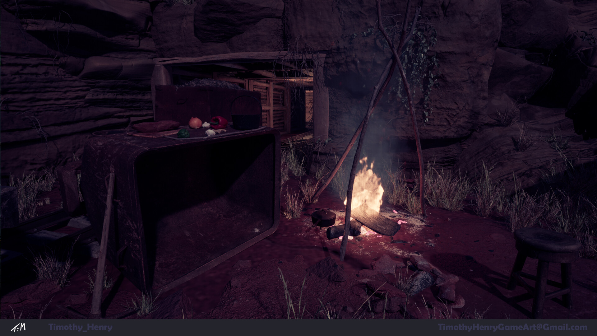 Timothy Henry - FIRE Niagara system