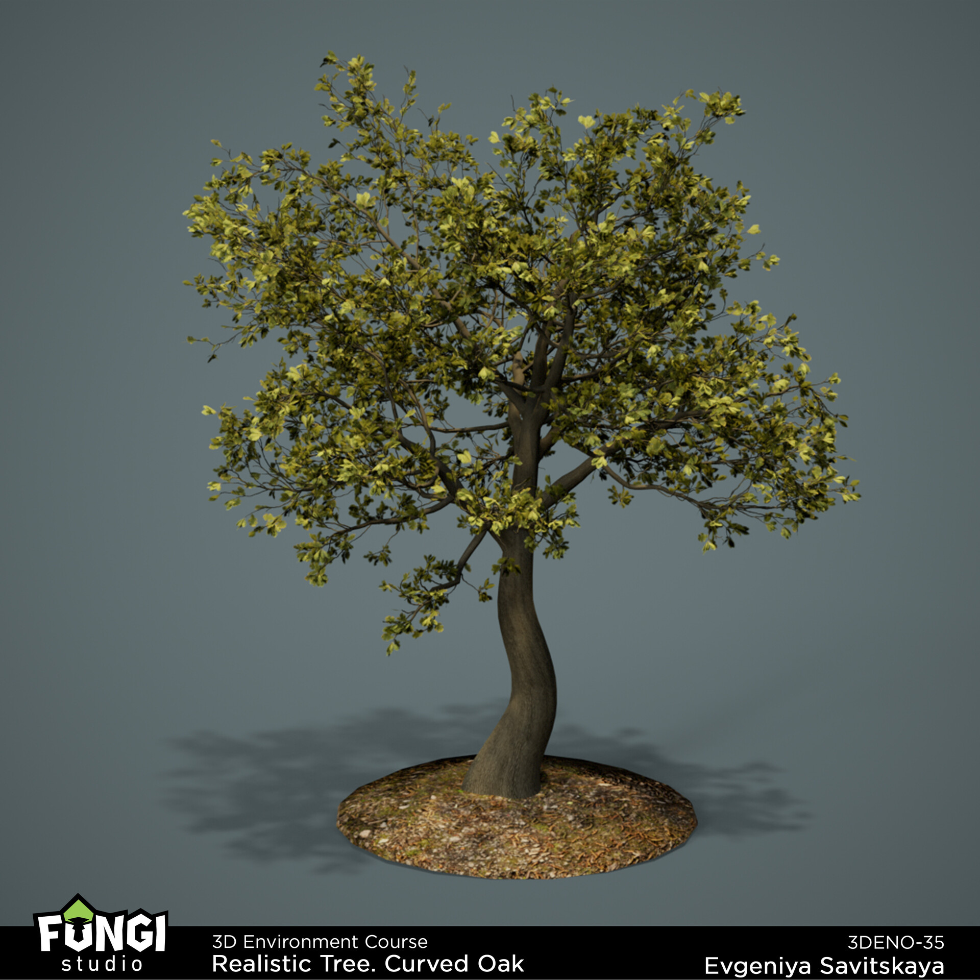 ArtStation - Curved Oak