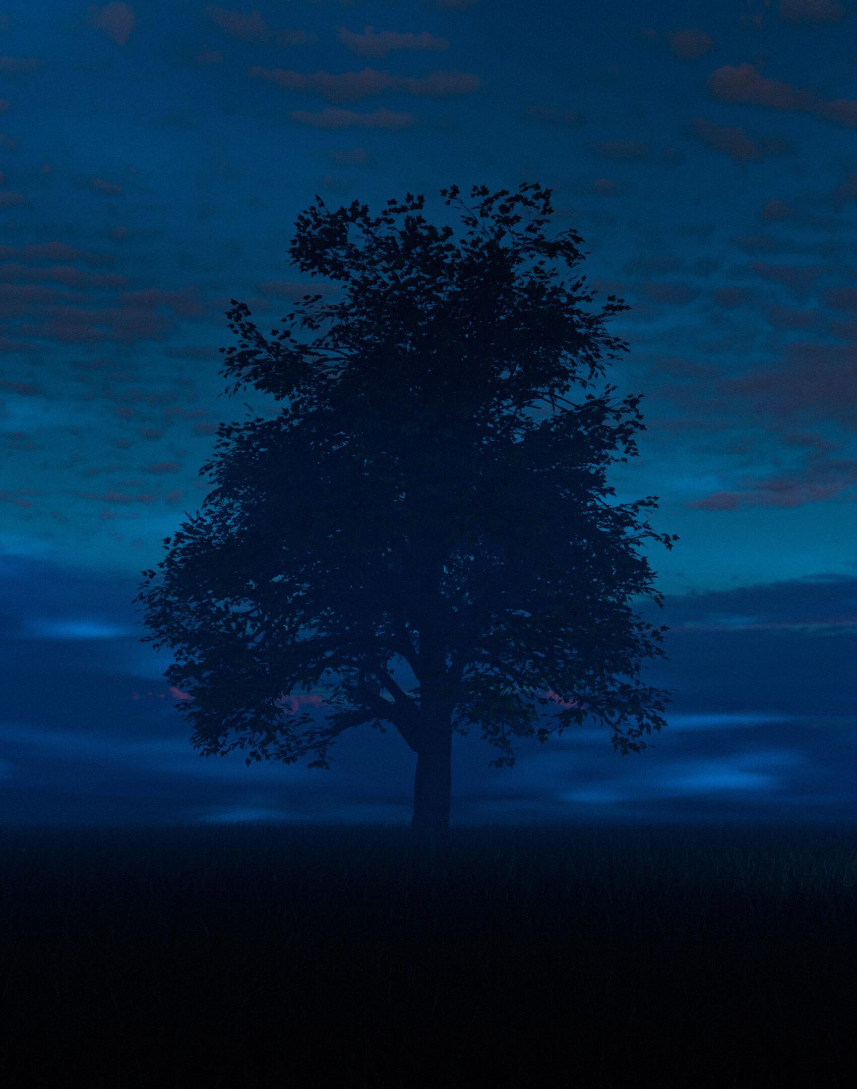 ArtStation - Tree of Silence