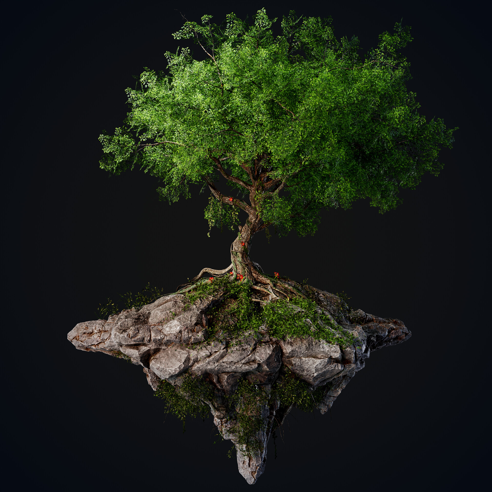 ArtStation - Tree study