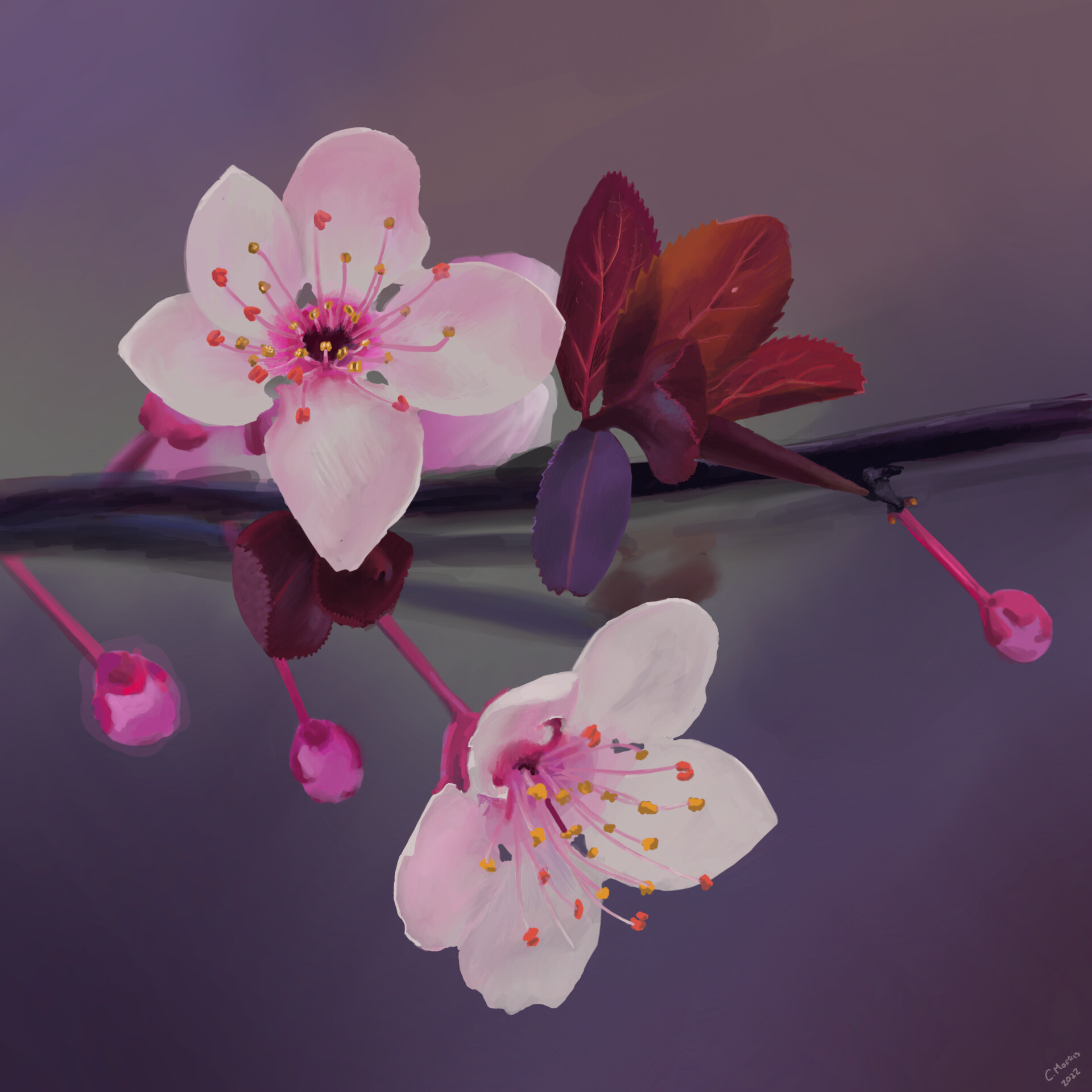 ArtStation - Cherry Blossoms