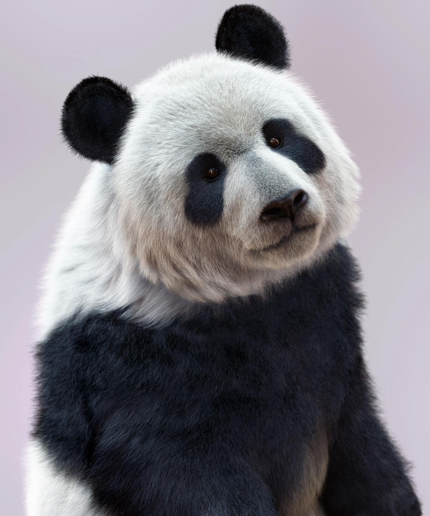 ArtStation - Giant Panda portrait