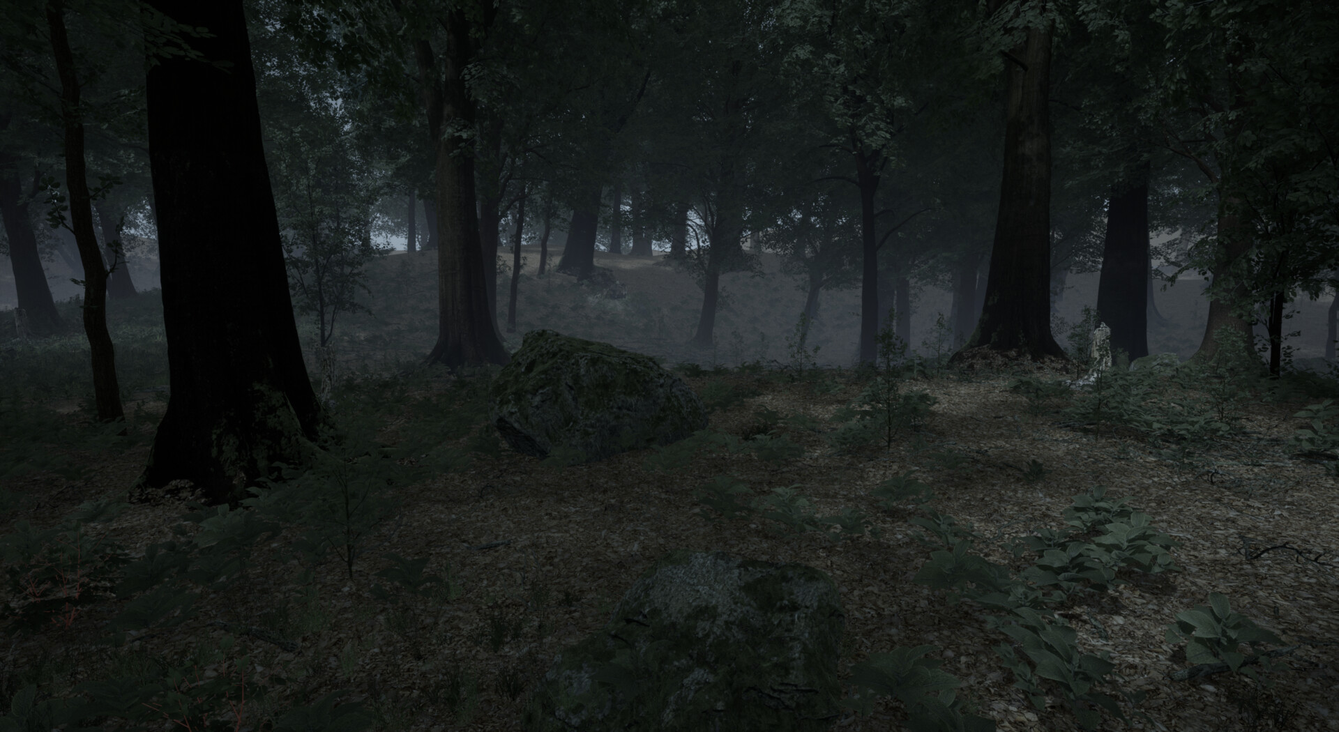 Christian Solis - Quandering Forest