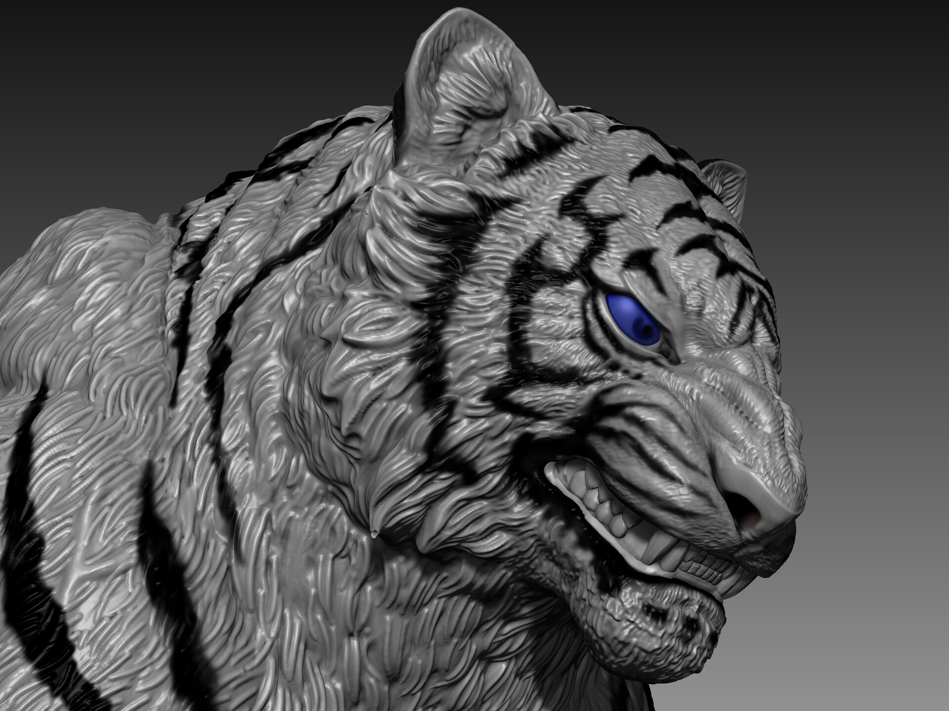 BH3D - SanGun _ Tiger brother