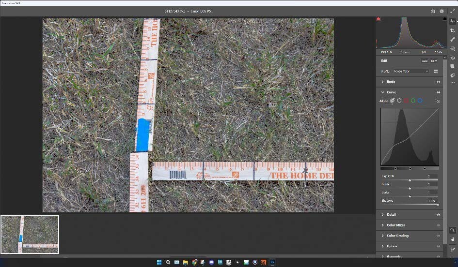 Christopher Matherne - Photogrammetry Material Grass