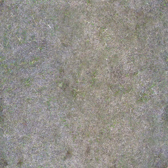 Christopher Matherne - Photogrammetry Material Grass