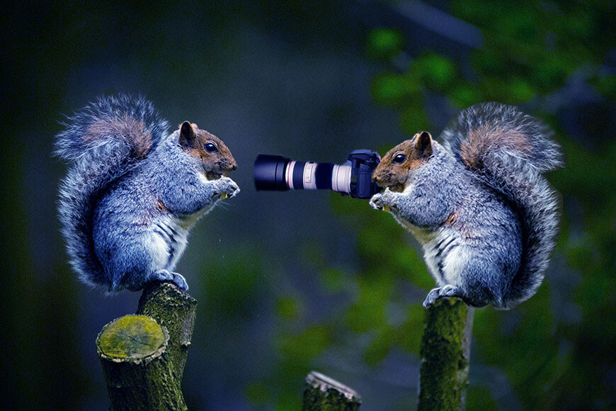 ArtStation - Changing Nature