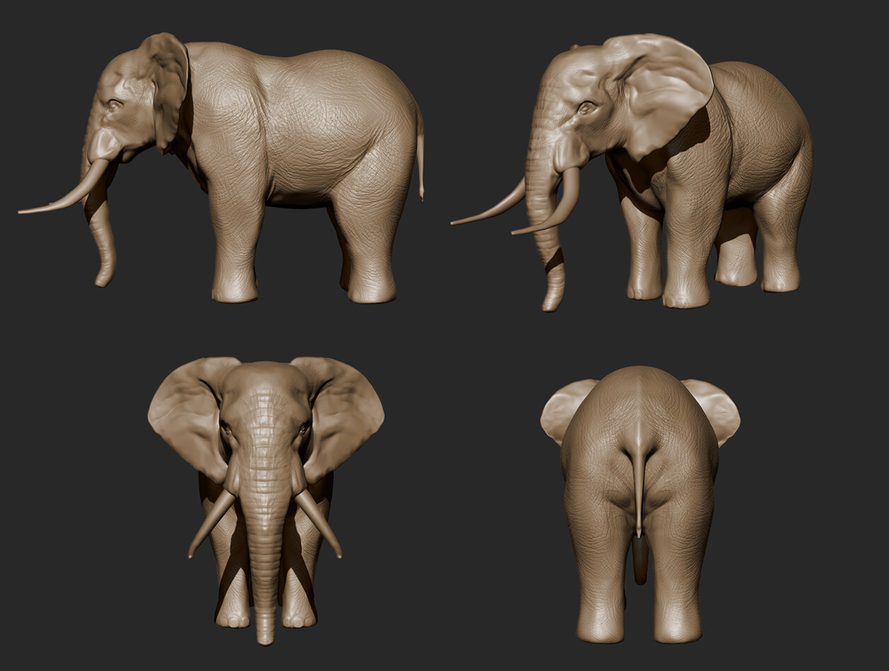 ArtStation - African Elephant