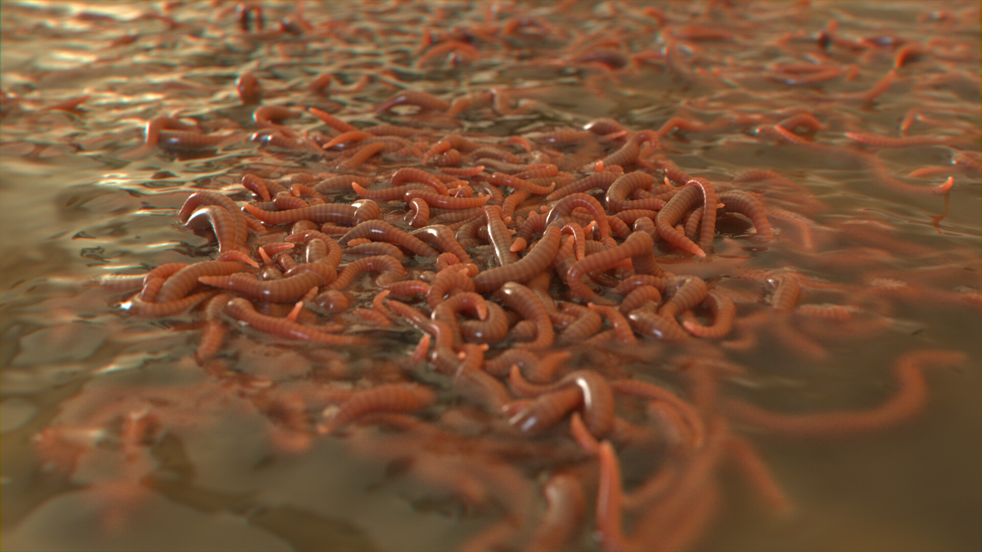 Paulo Cesar Duarte - Houdini Procedural Worms
