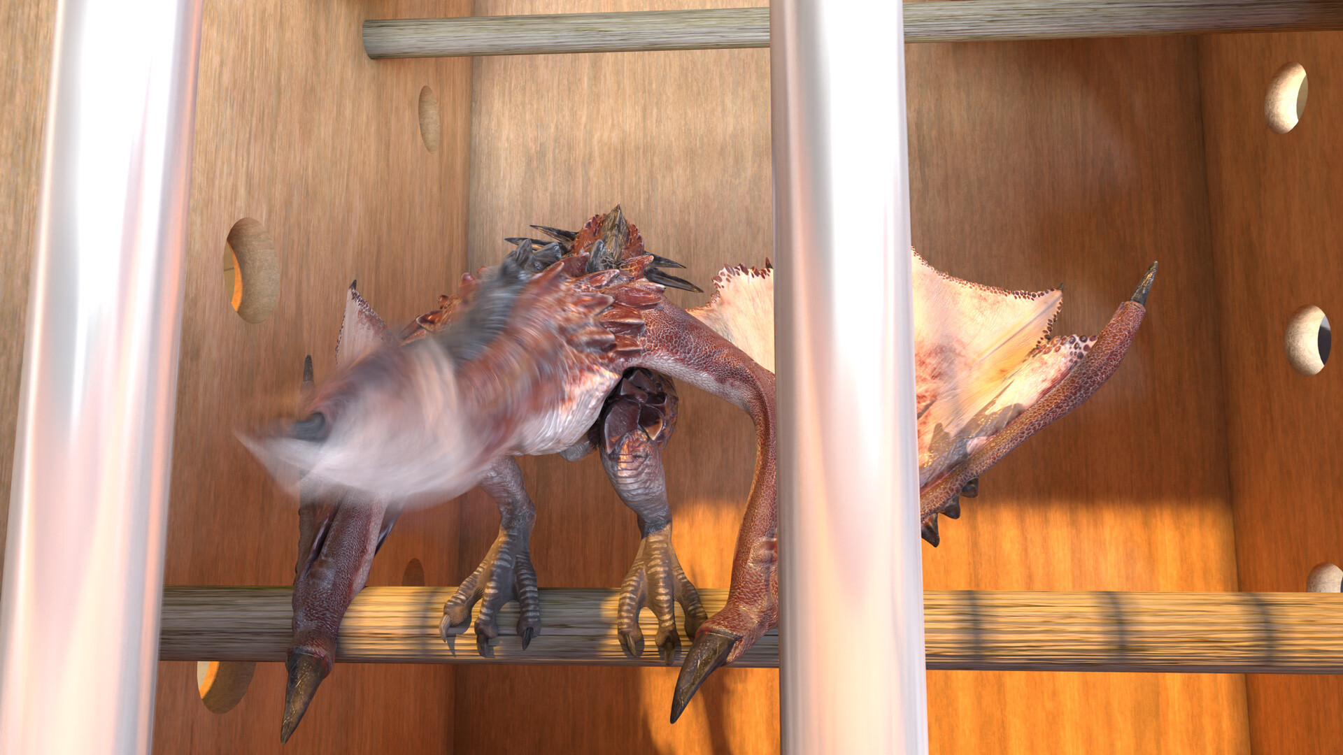 Kakeru Fujimiya - I started keeping liolaeus!