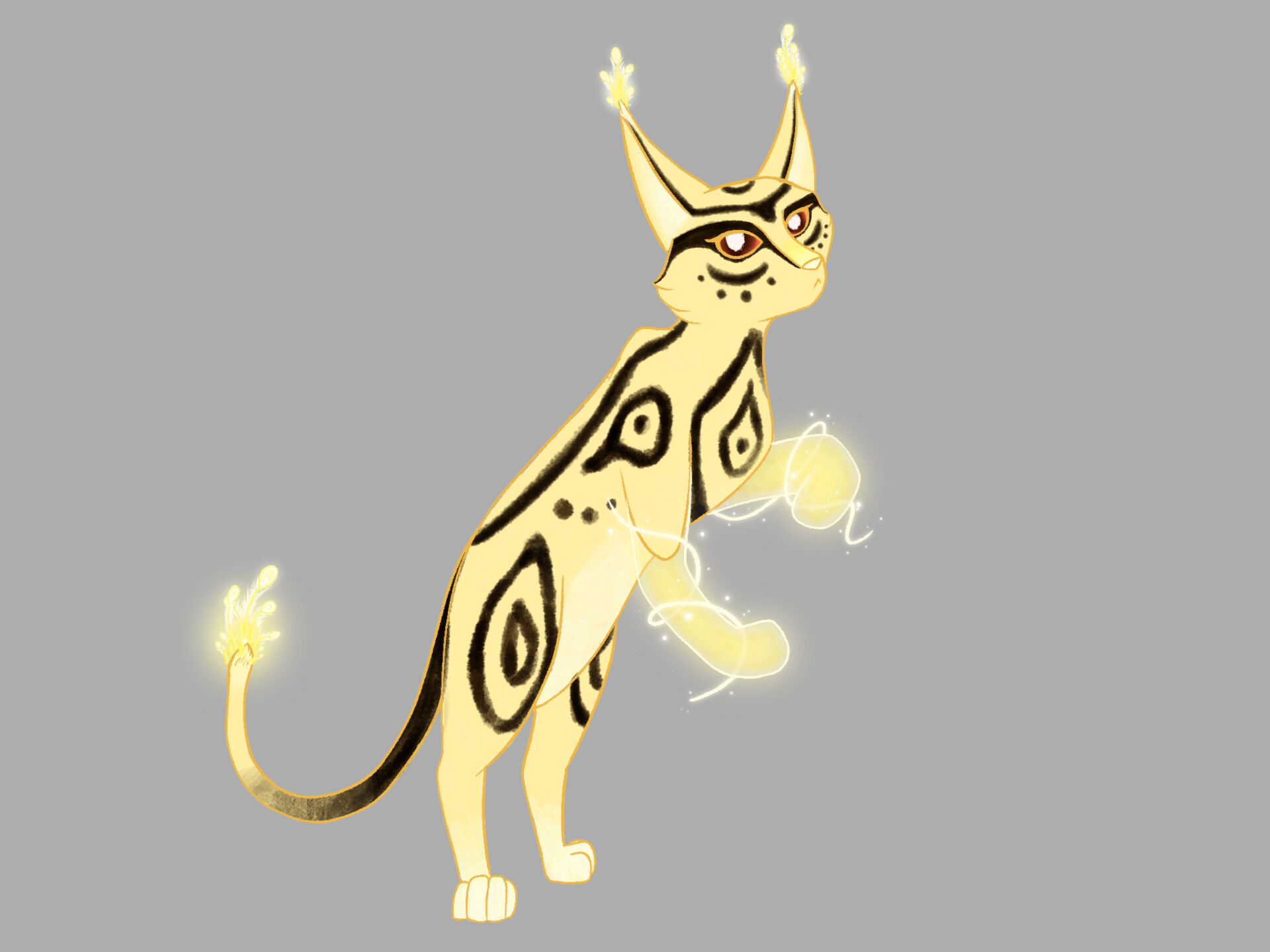elemental cat