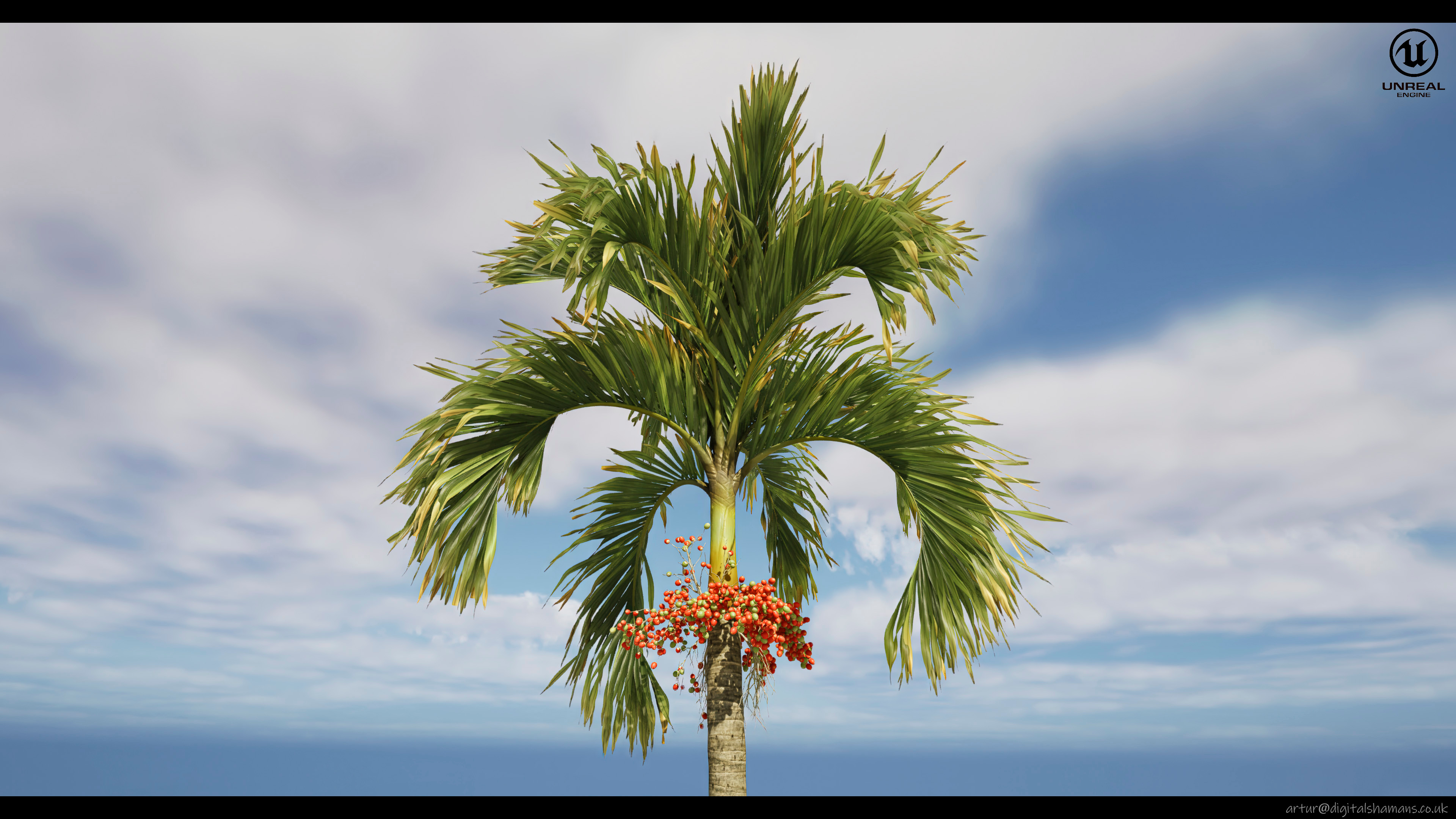 Artur Perzyna - Environment Artist - Vegetation: SpeedTree