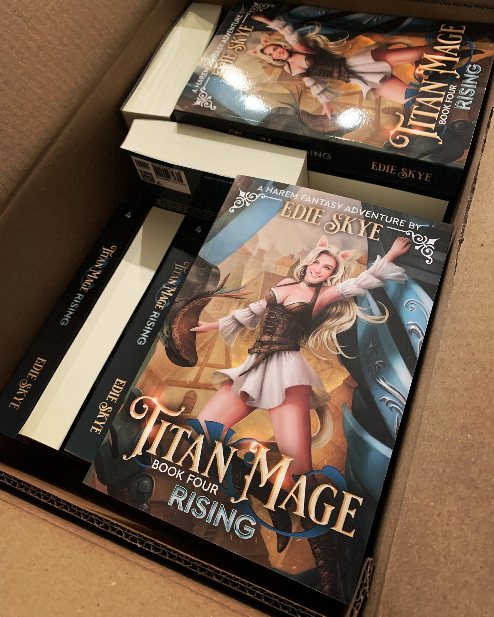 Jackson Tjota - Titan Mage Rising (book IV)