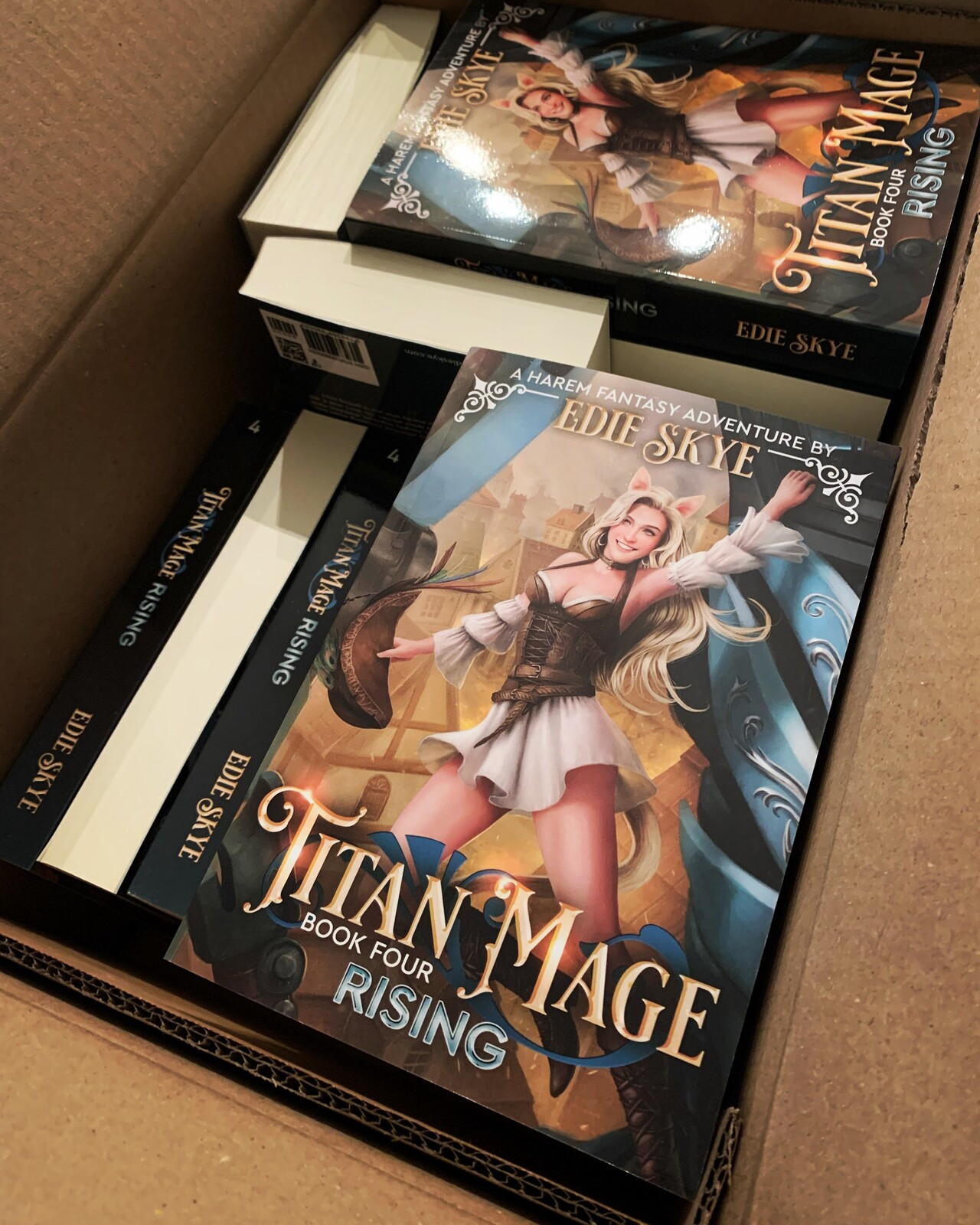 Jackson Tjota - Titan Mage Rising (book IV)