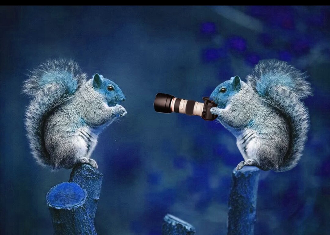 ArtStation - Assignment 2