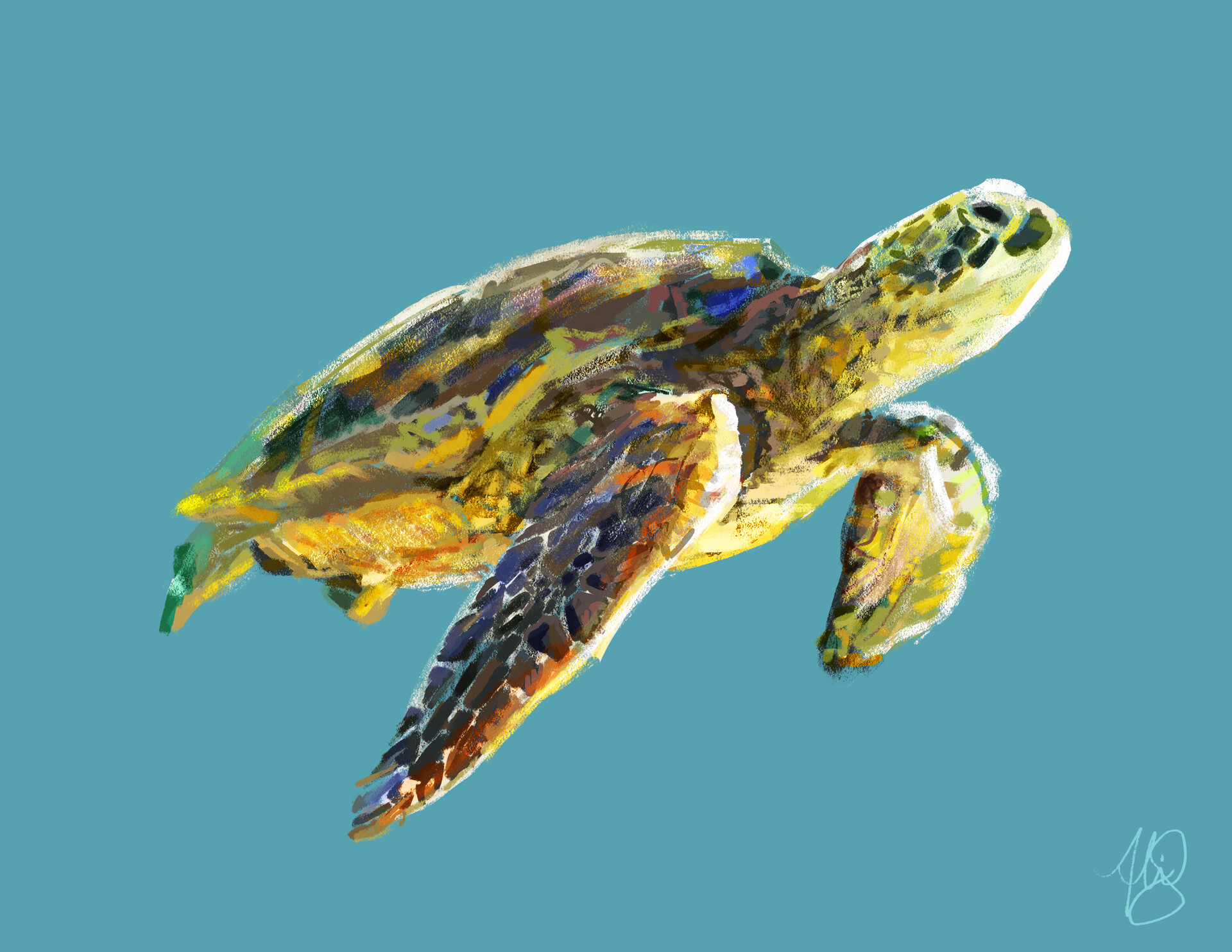 ArtStation - Green Sea Turtle