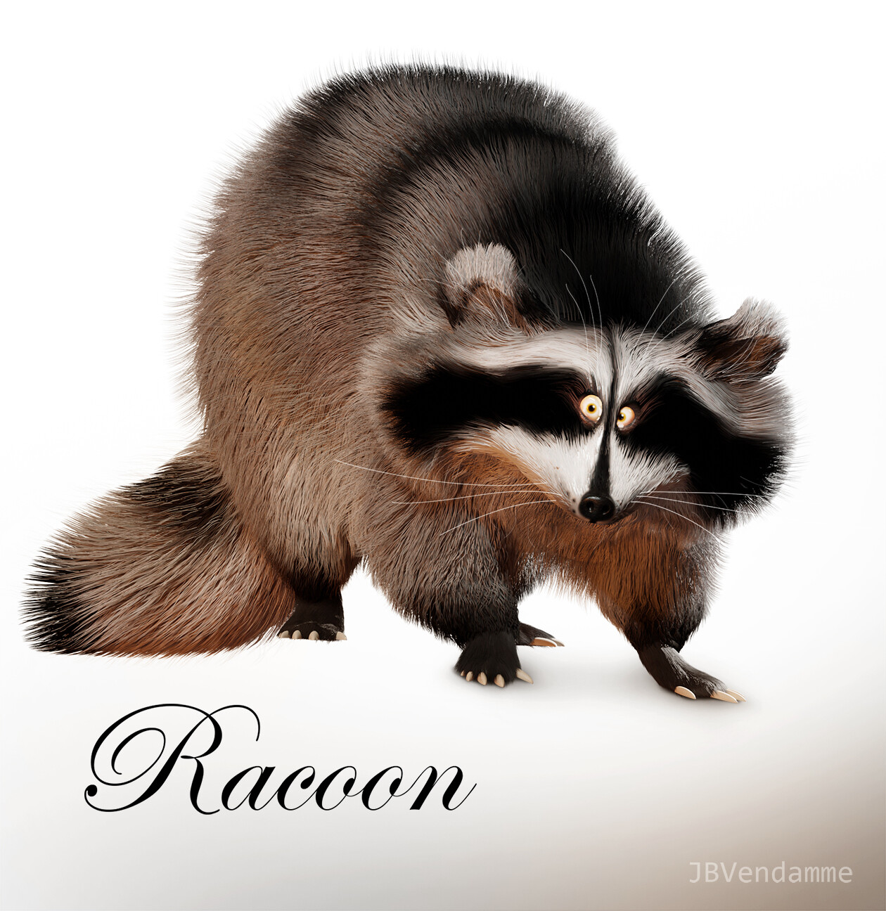 ArtStation - racoon