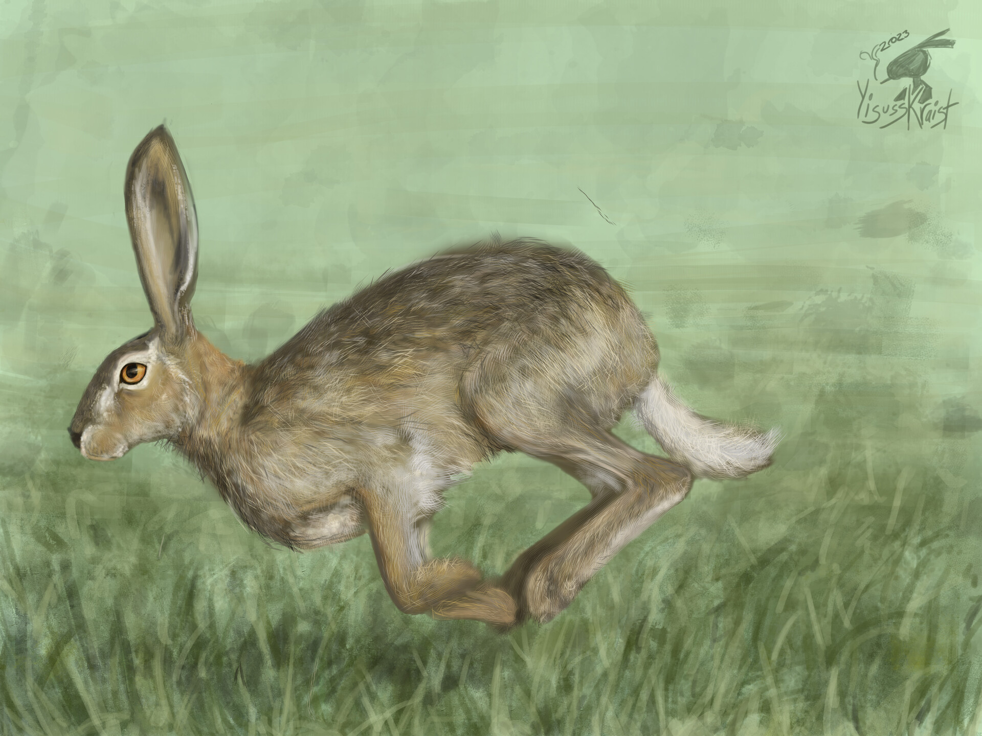 ArtStation - Realistic cartoon hare