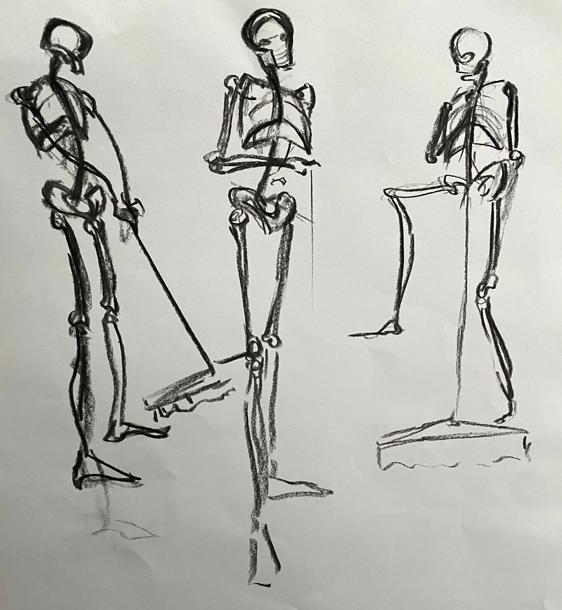 drawing skeletal structures