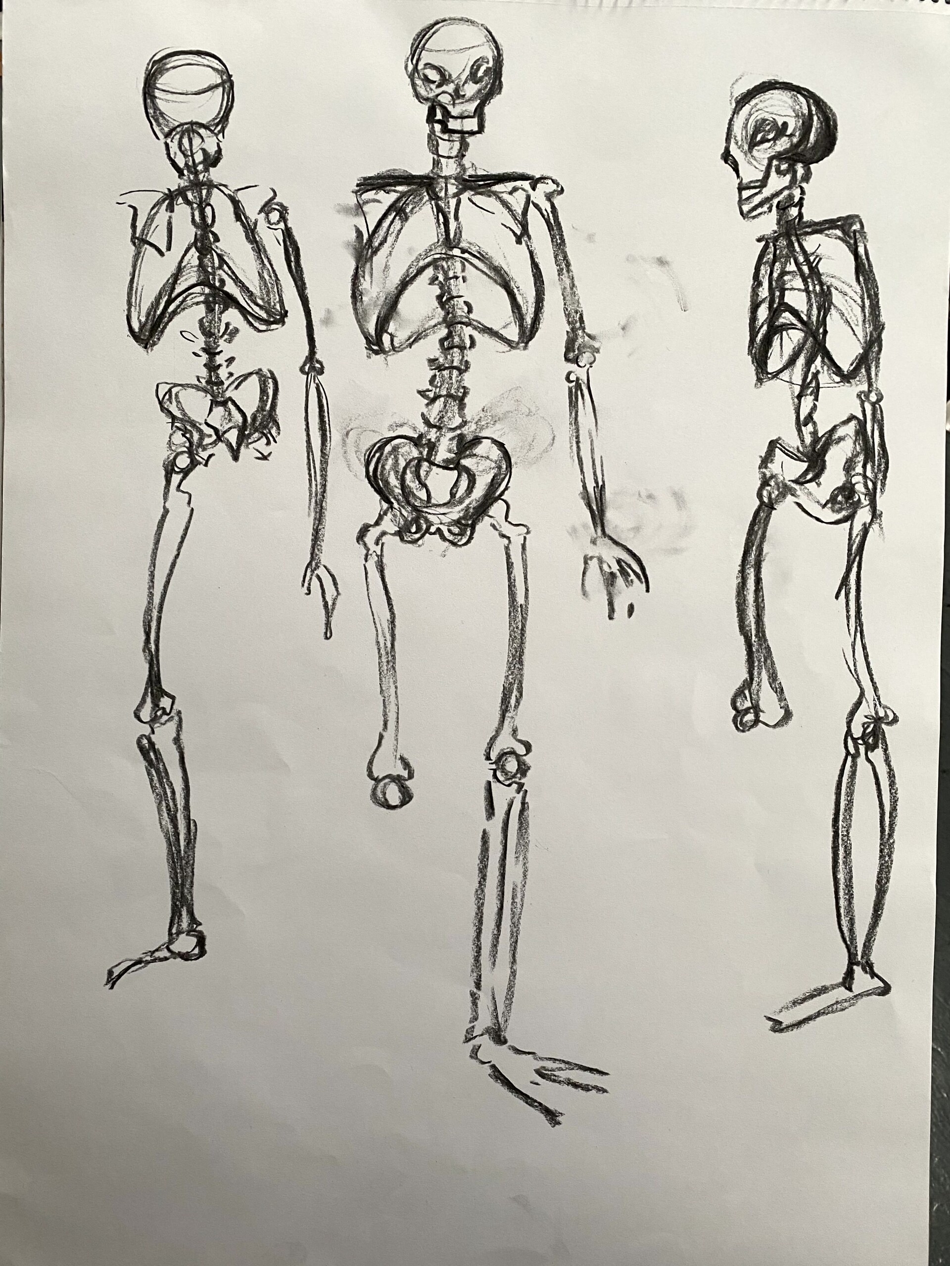 Drawing Skeletal Structures