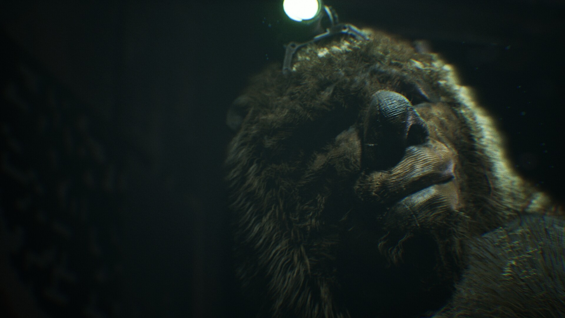 Christopher Bischoff - Stasis Bone Totem Cinematics.