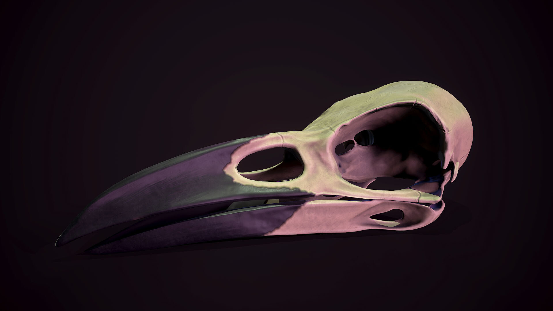 ArtStation - Raven Skull