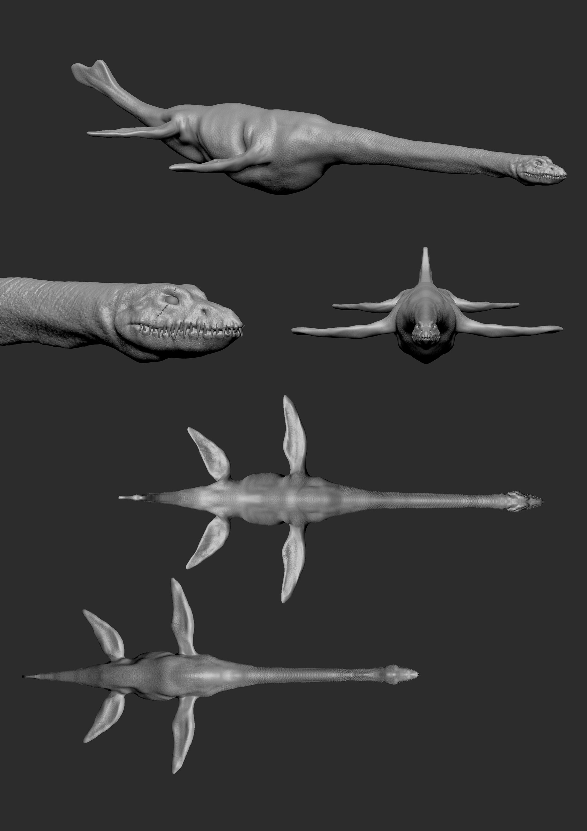 Plesiosaurio Microcleidus Wikipedia