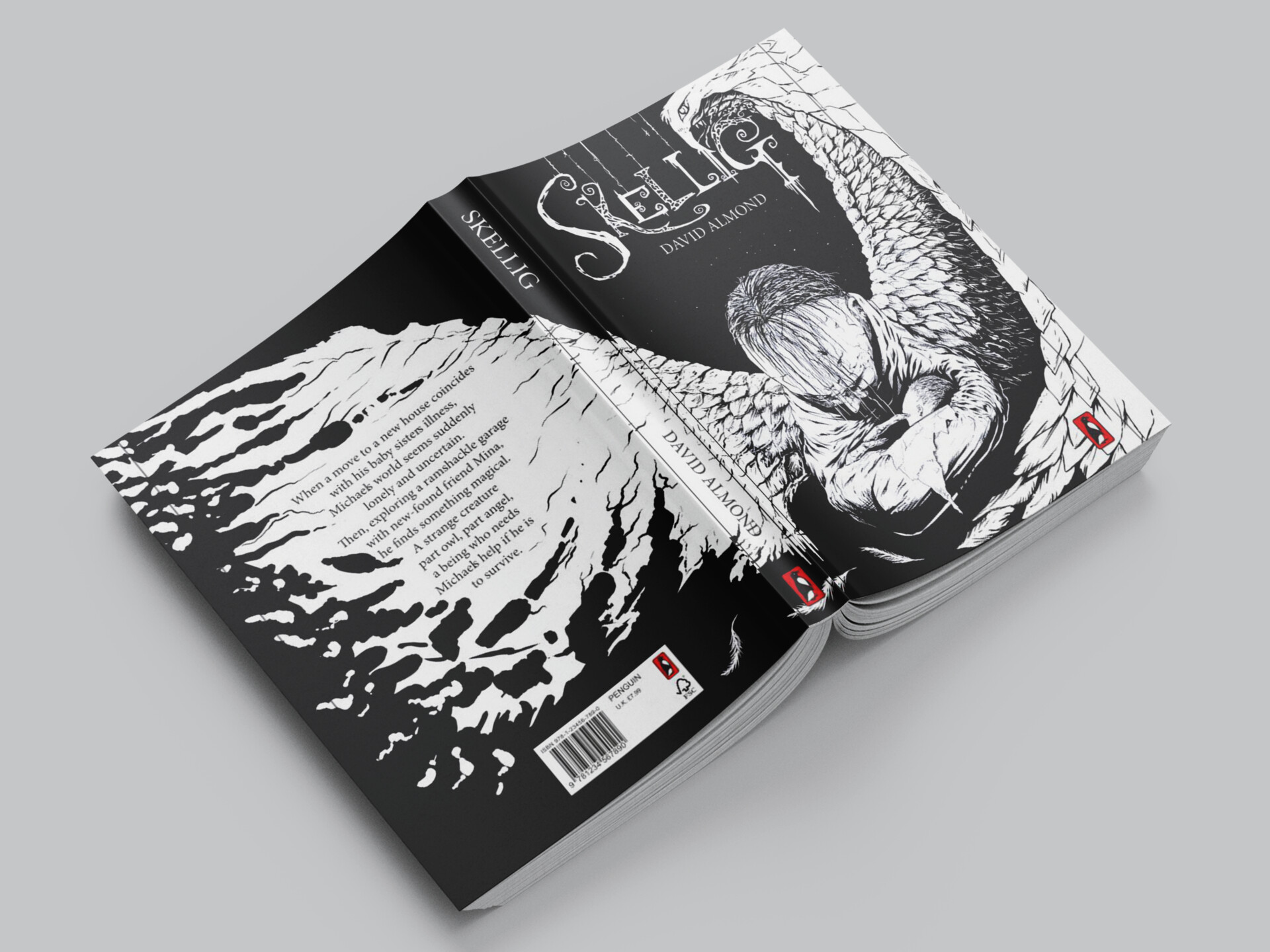 ArtStation - Skellig Book Cover Design