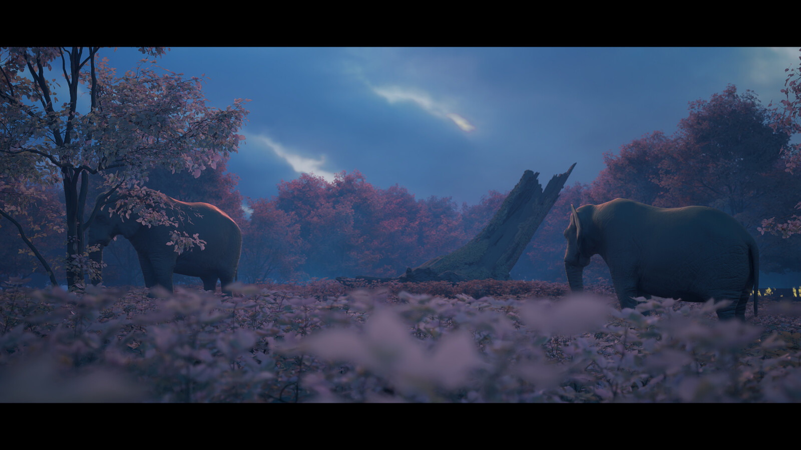 Kumar Sayan Barui - Jungle