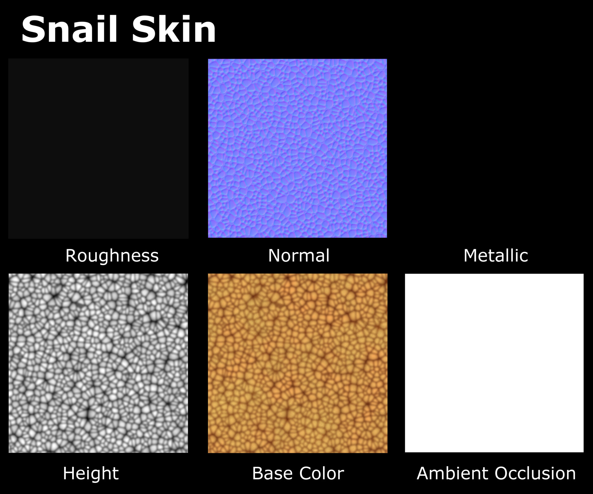 Mary Kilgallon - Disco Snail