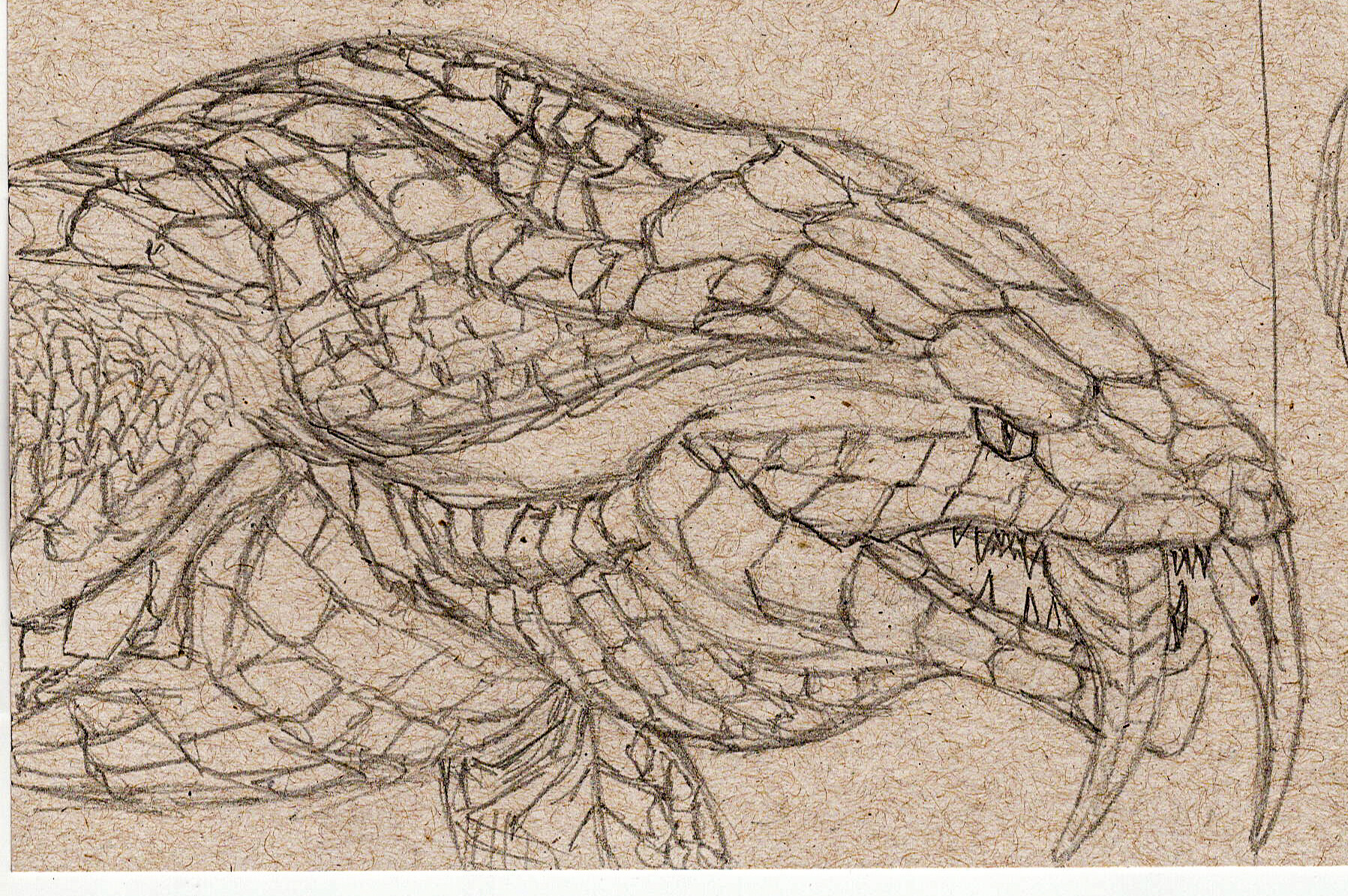 ArtStation - Day 95 of 365 (Girros)