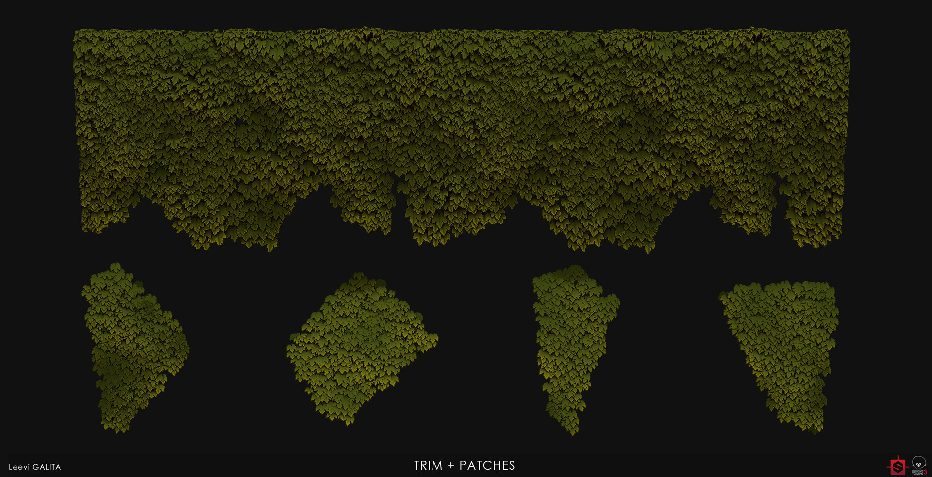 Leevï GALITA - Substance Designer practice - Vegetation