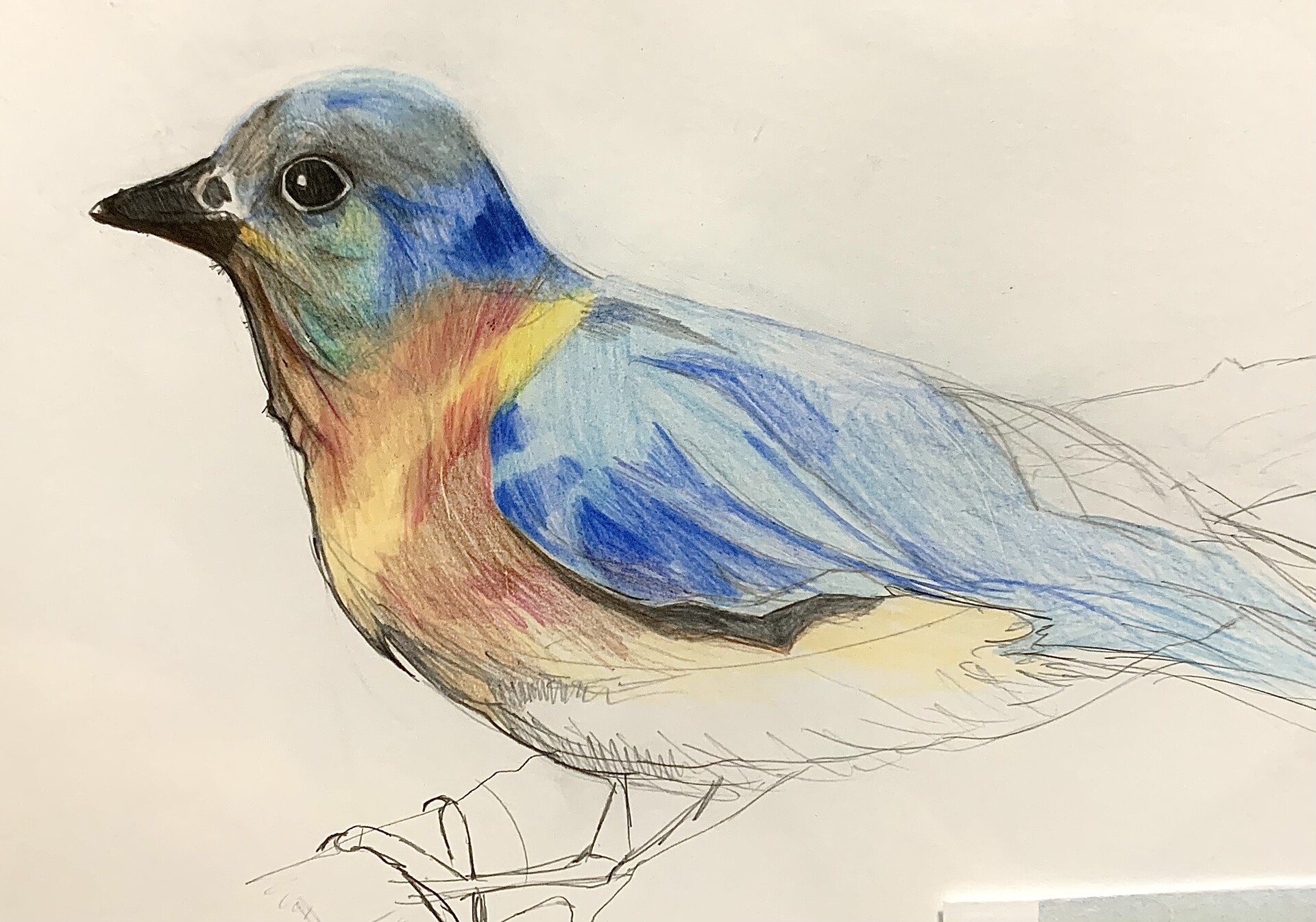 ArtStation - Observational Drawings - Organic and Man-Made