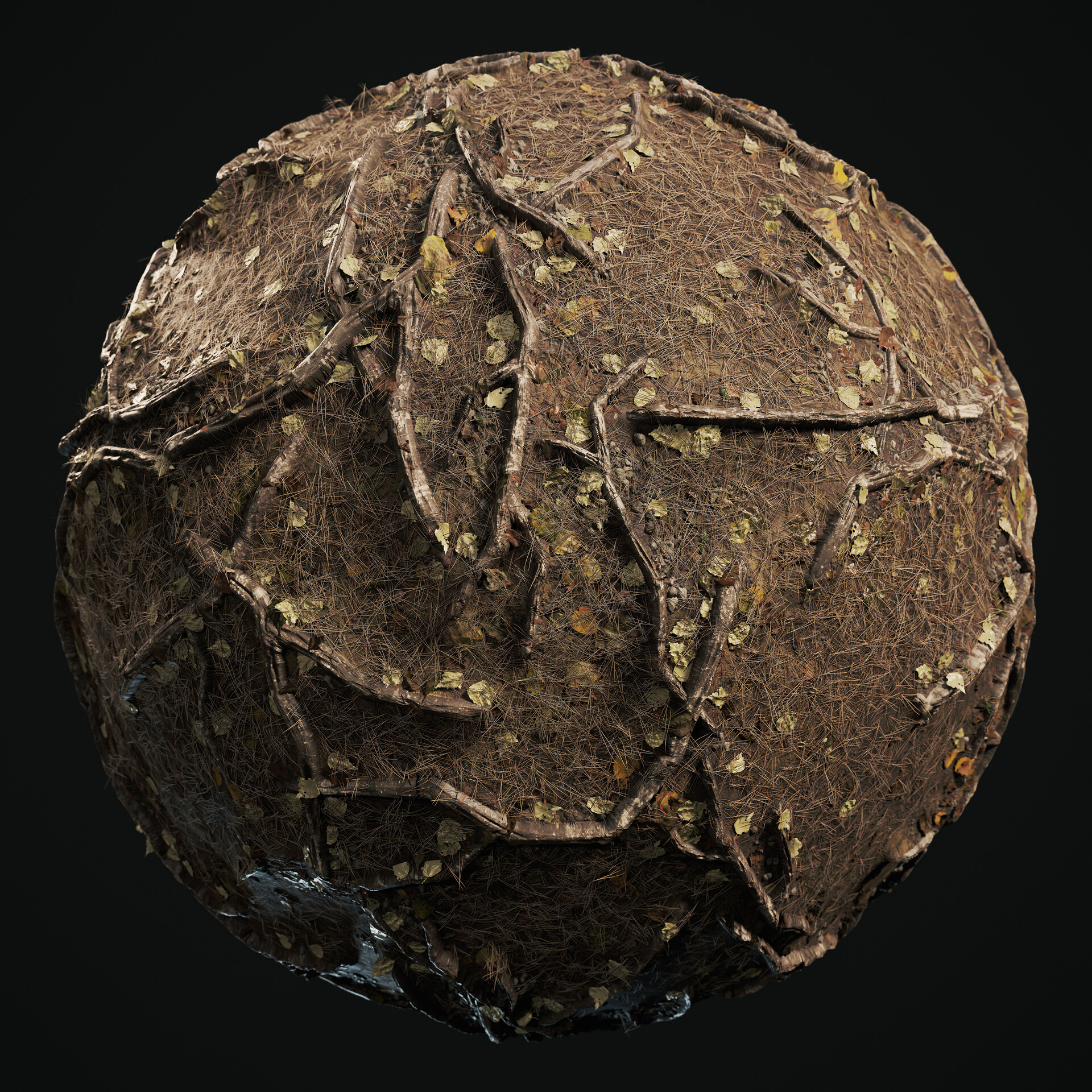 ArtStation - Substance Designer Study _ Forest Ground