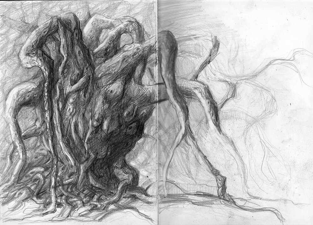 Octopus Tree Drawing