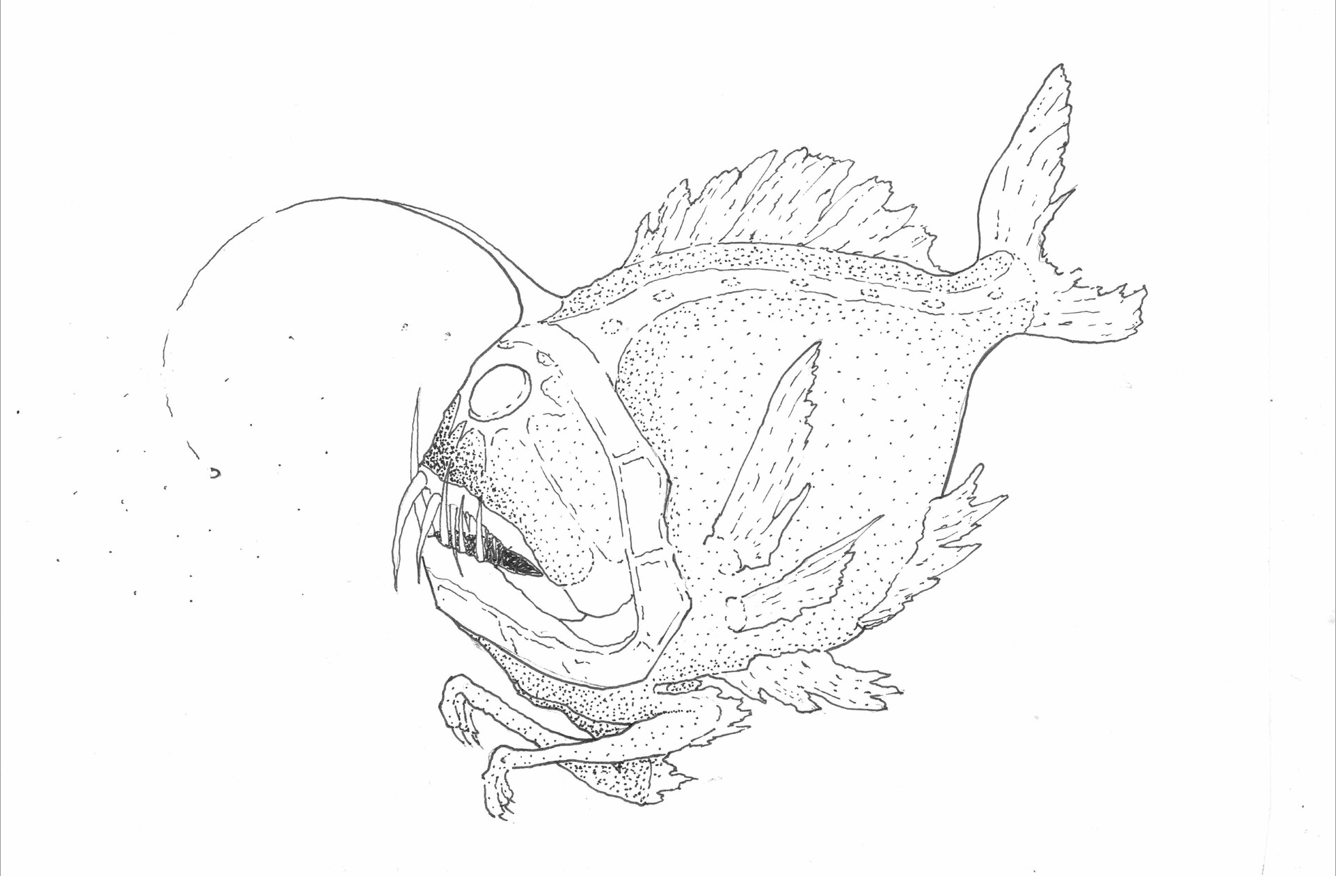 ArtStation - bottom feeder