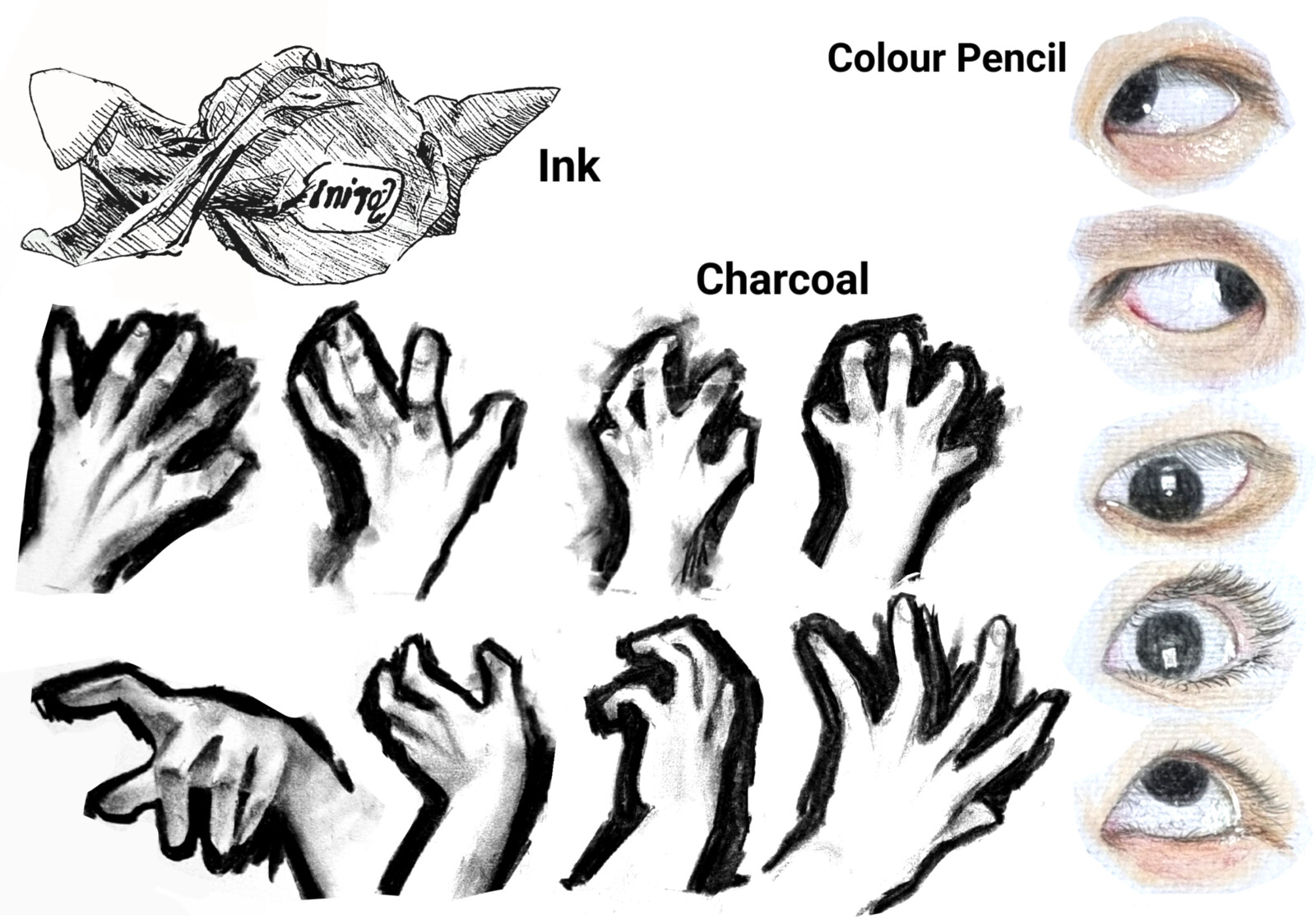 Freya Chong (Yun) - Observational Drawings and Studies