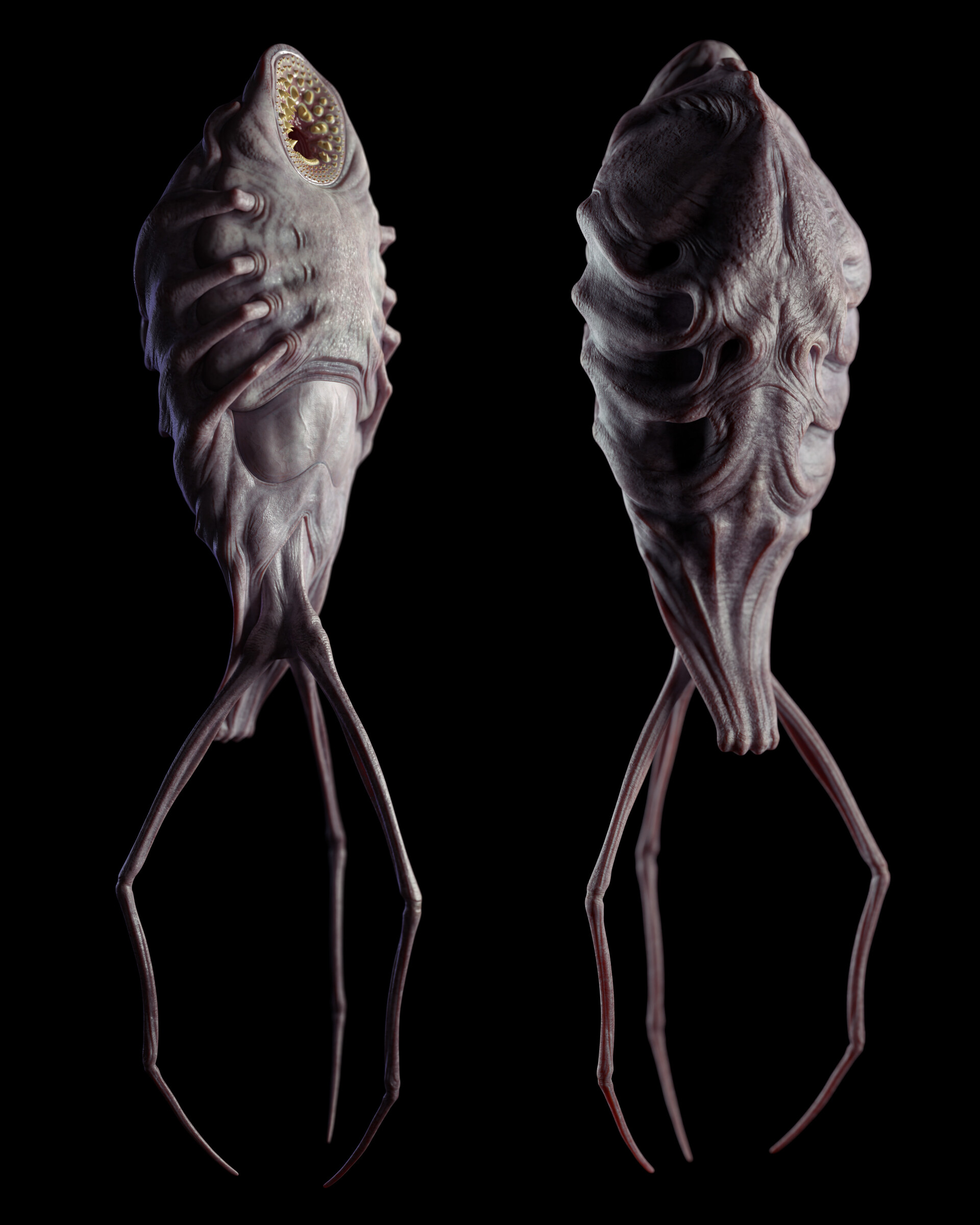 Samuel Swanborough - Fleshy Lamprey Alien