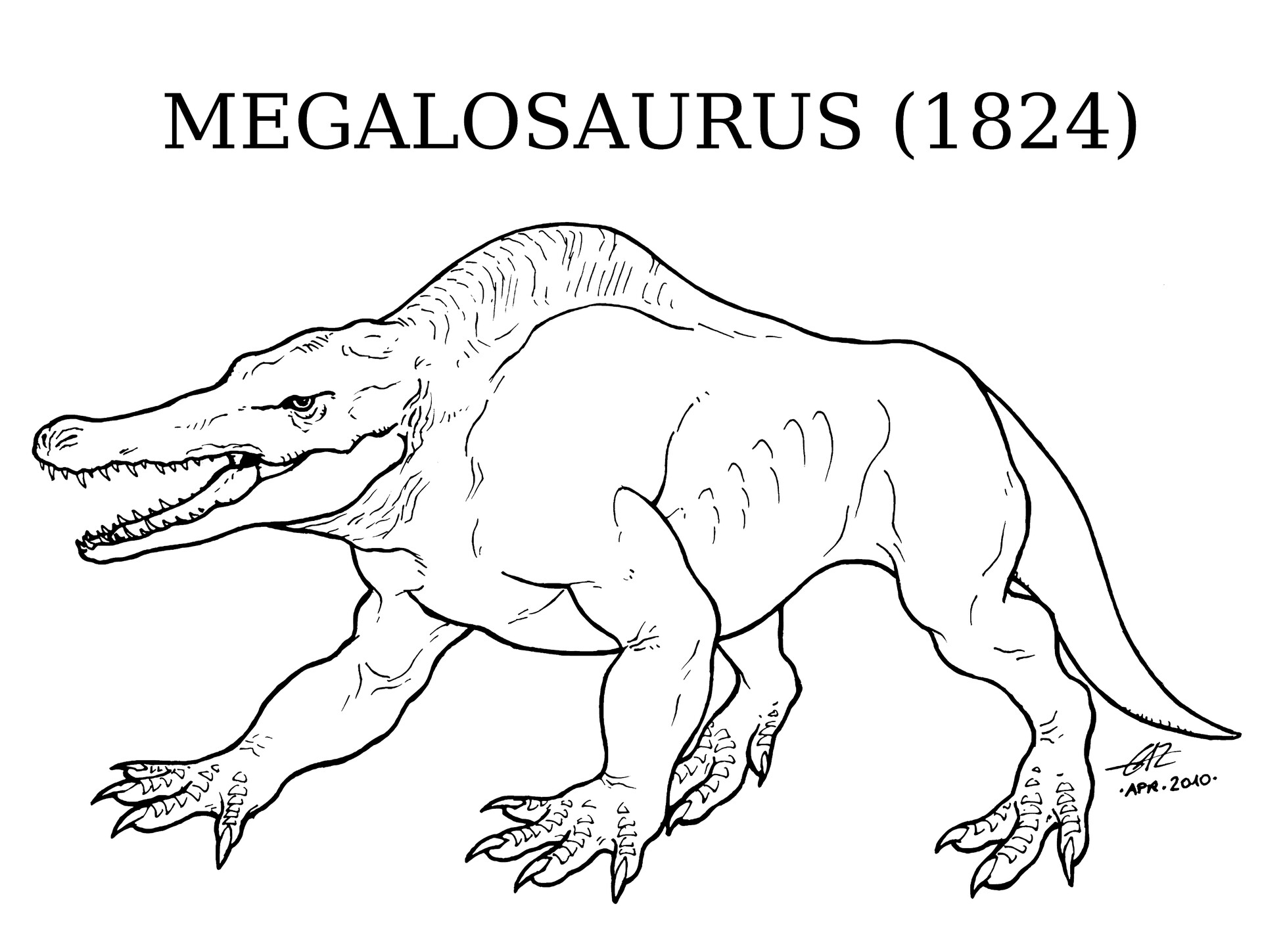 megalosaurus coloring pages