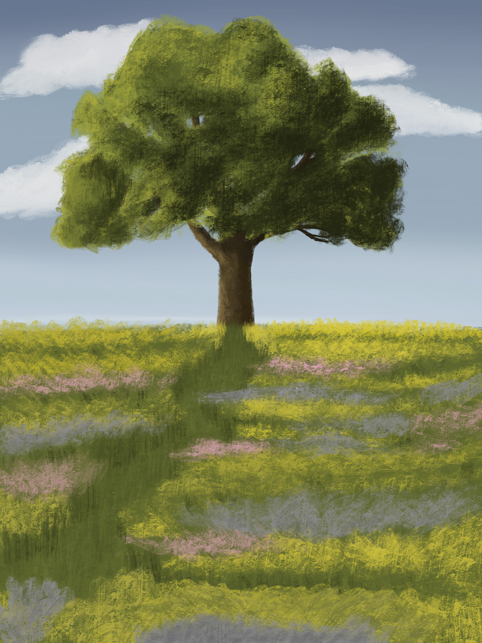 ArtStation - Observation Drawing of a Nostalgic Meadow