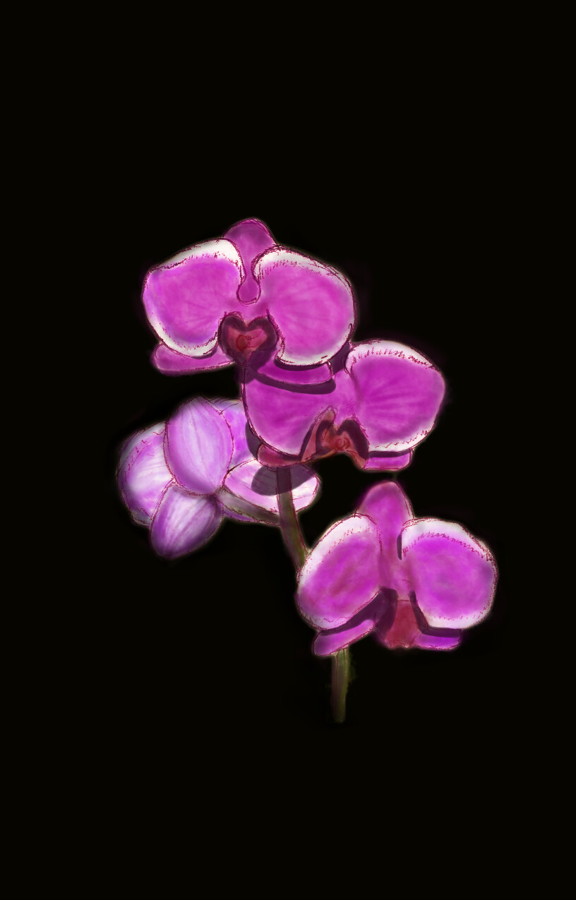 ArtStation - Orchid - Paper & Digital
