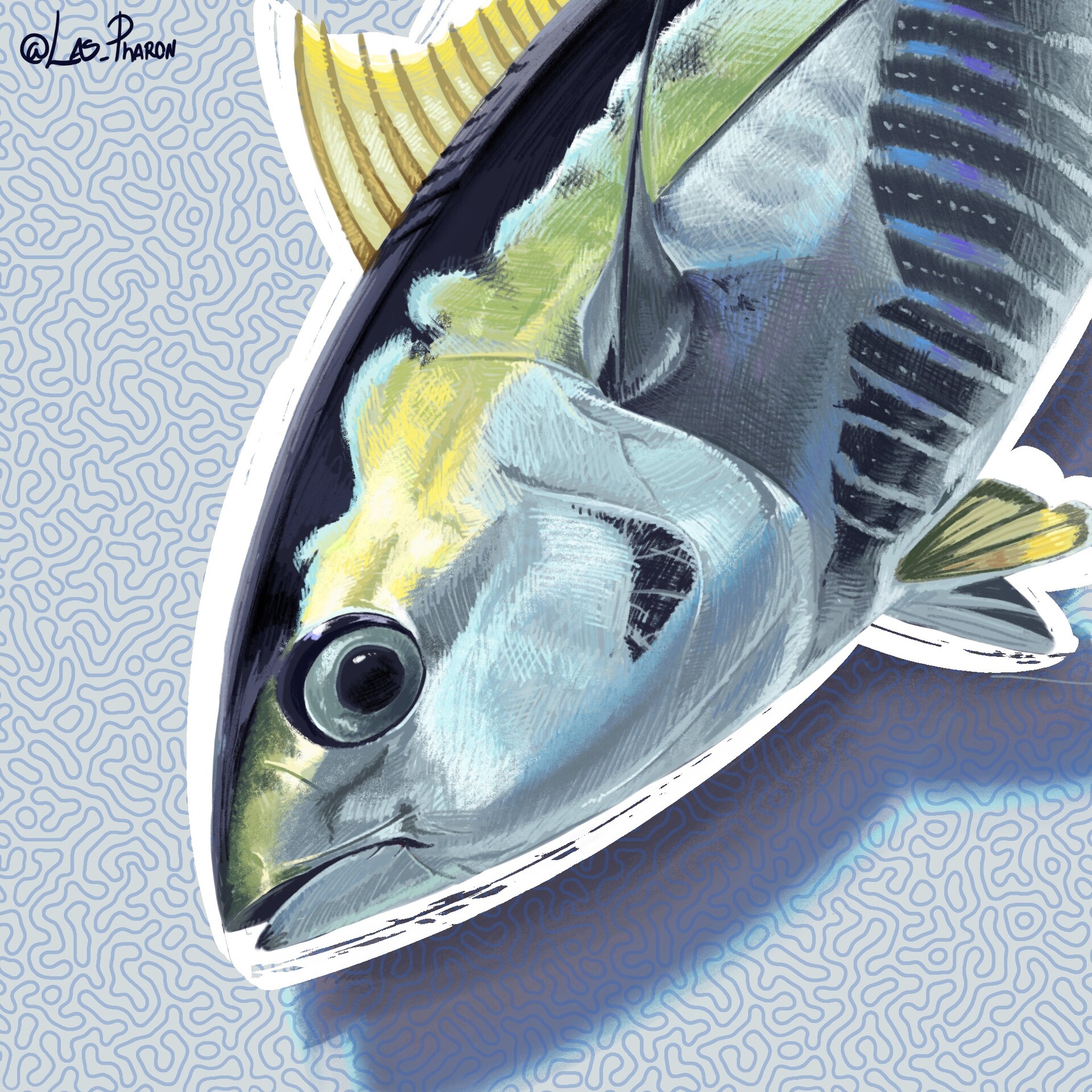 ArtStation - Tuna study