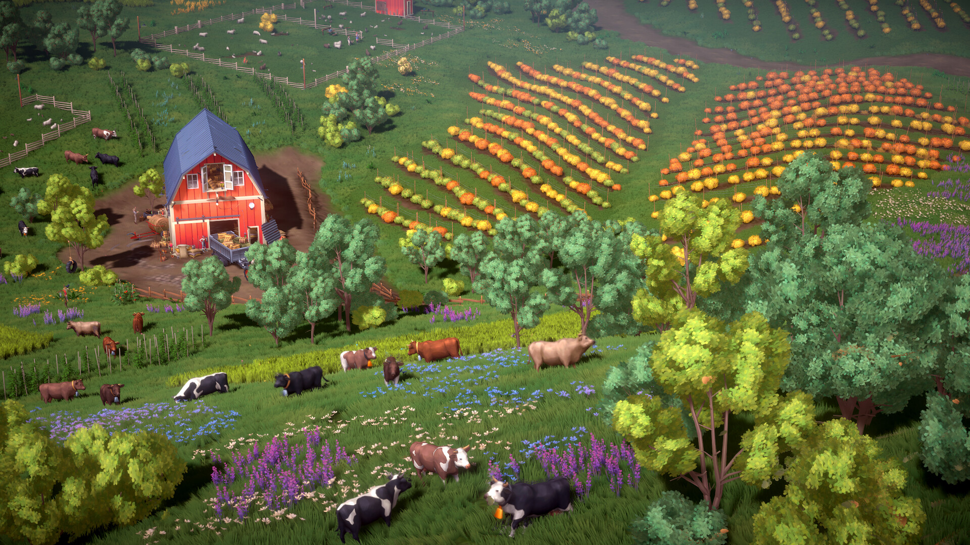 Stefan Marinca - TOON Farm Pack