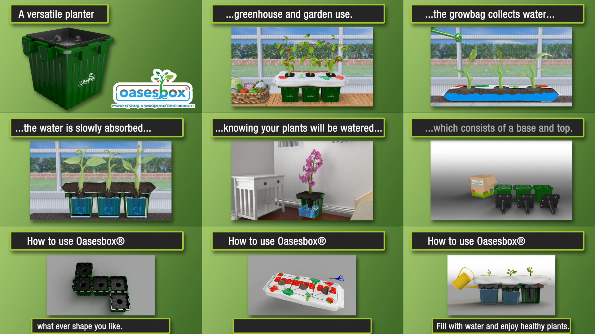 ArtStation - Client animation for OasisBox