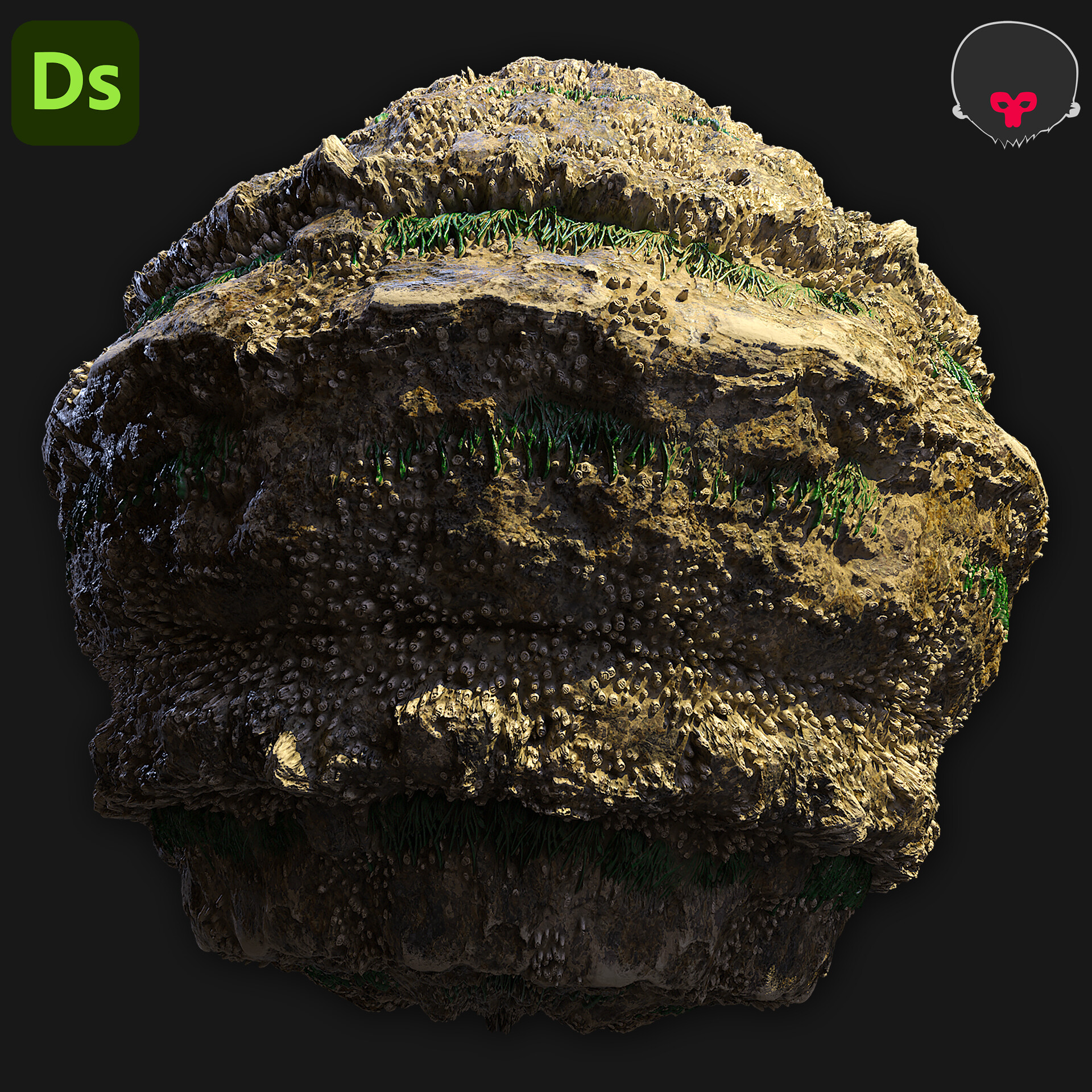 ArtStation - Rock barnacles