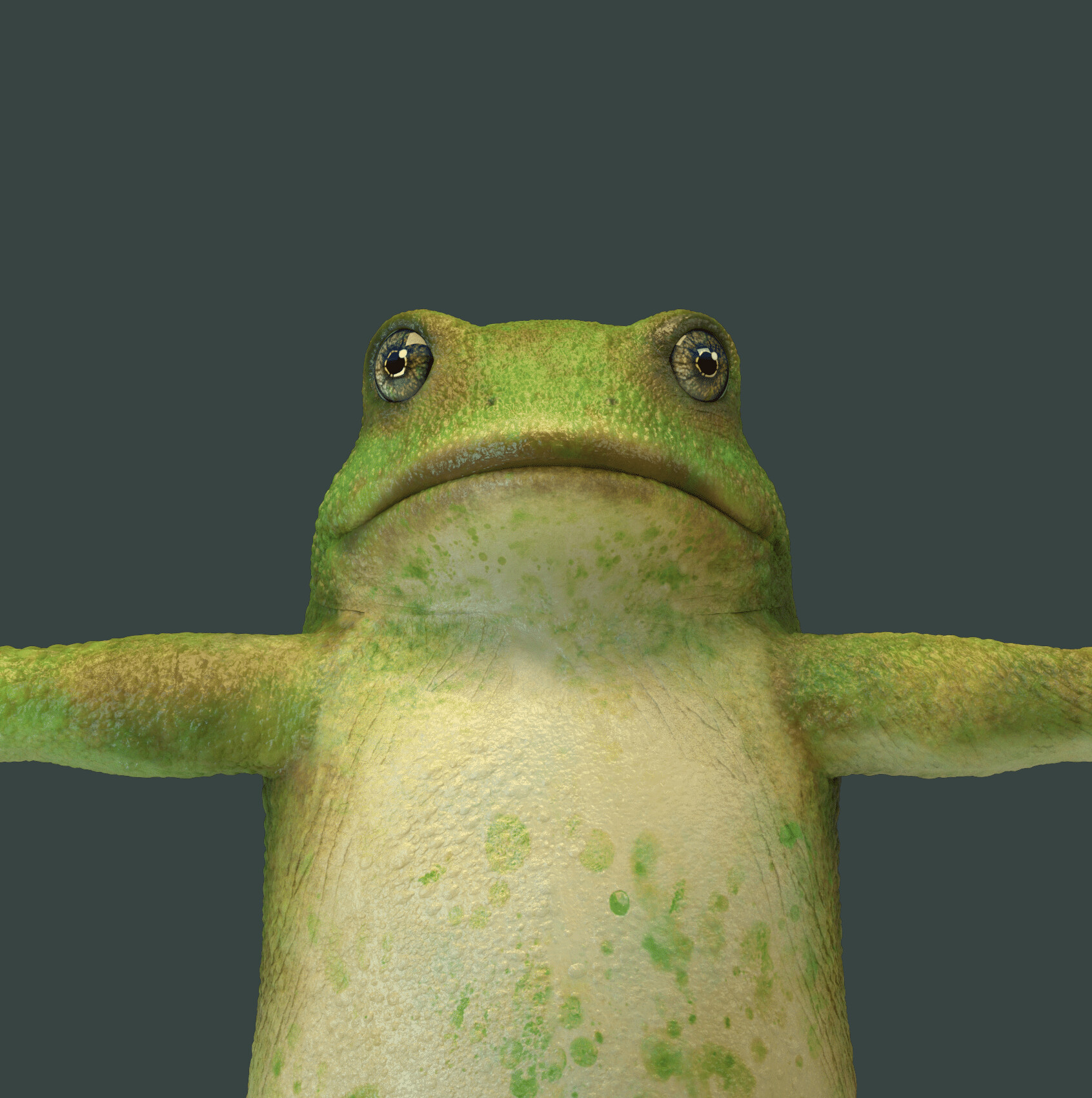 ArtStation - Old Frog